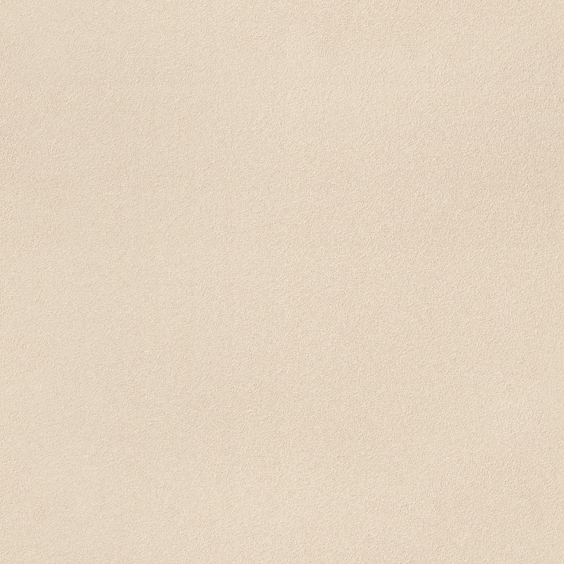 ジョリパット / T2022 | TECTURE（テクチャー）