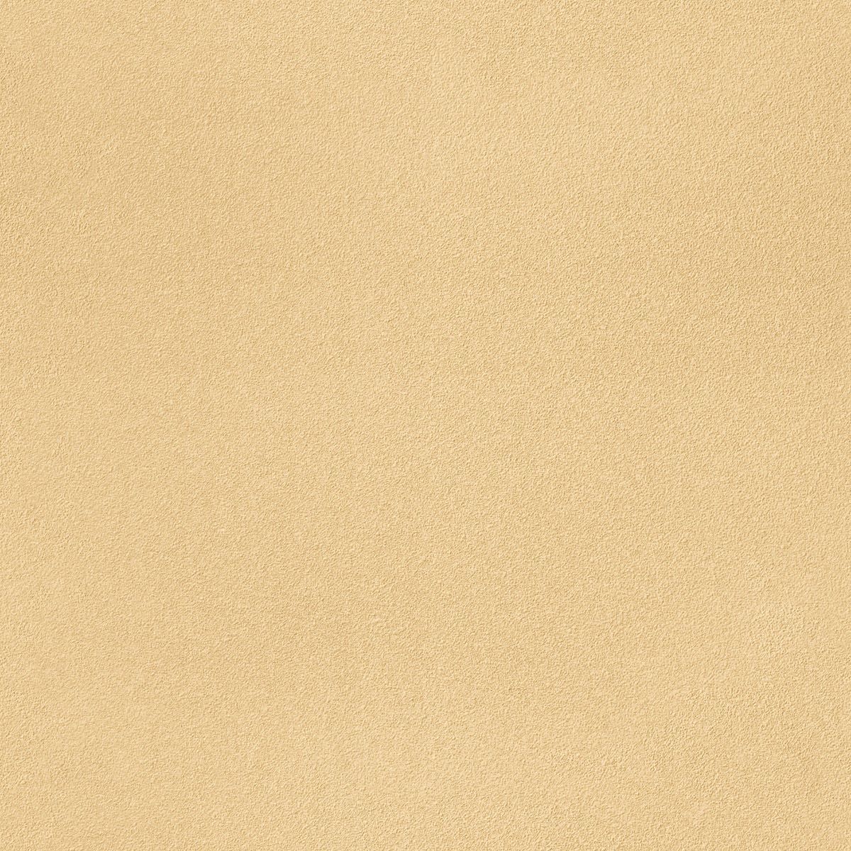 ジョリパット / T3033 - T3033 | TECTURE（テクチャー）