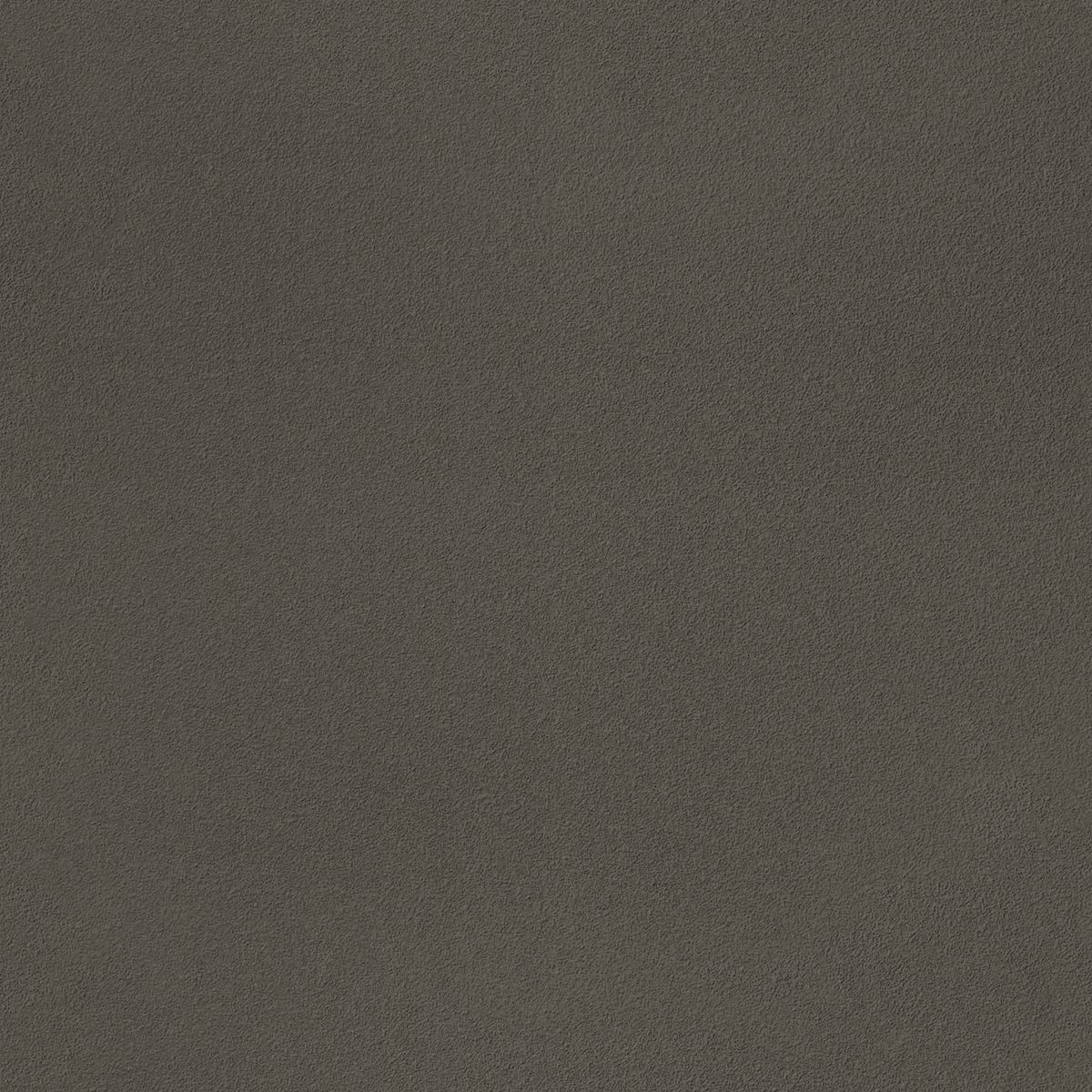 ジョリパット / T6405 | TECTURE（テクチャー）