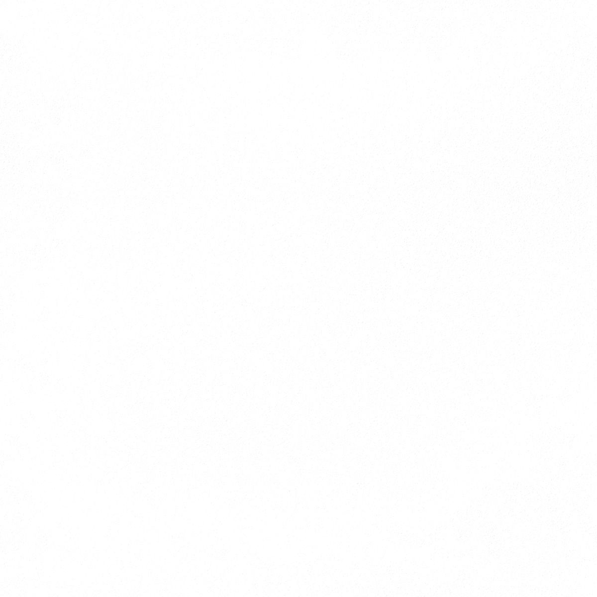 ジョリパット / JQ-650SWHT - JQ-650SWHT | TECTURE（テクチャー）