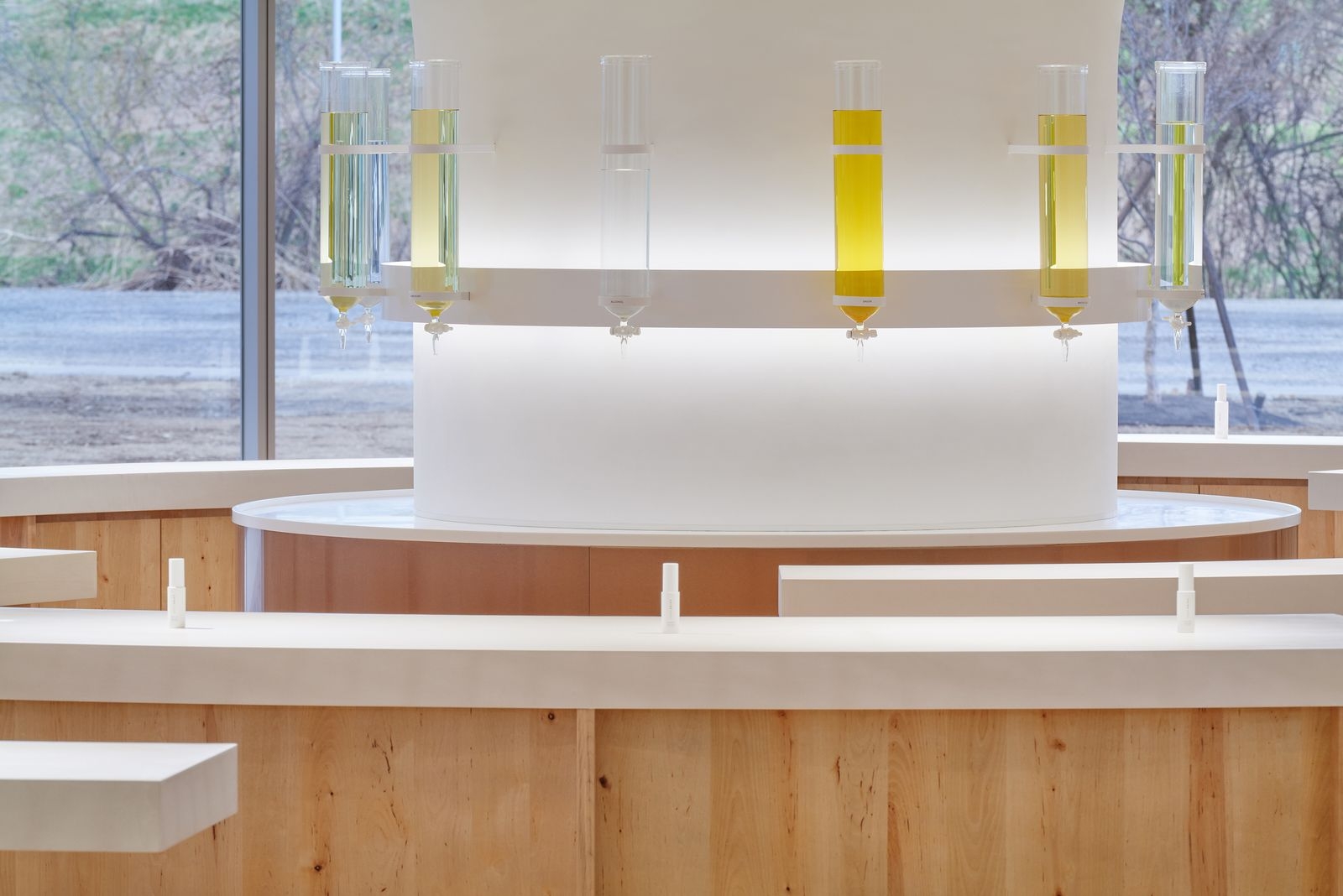 SHIRO砂川本店の写真 | TECTURE（テクチャー）