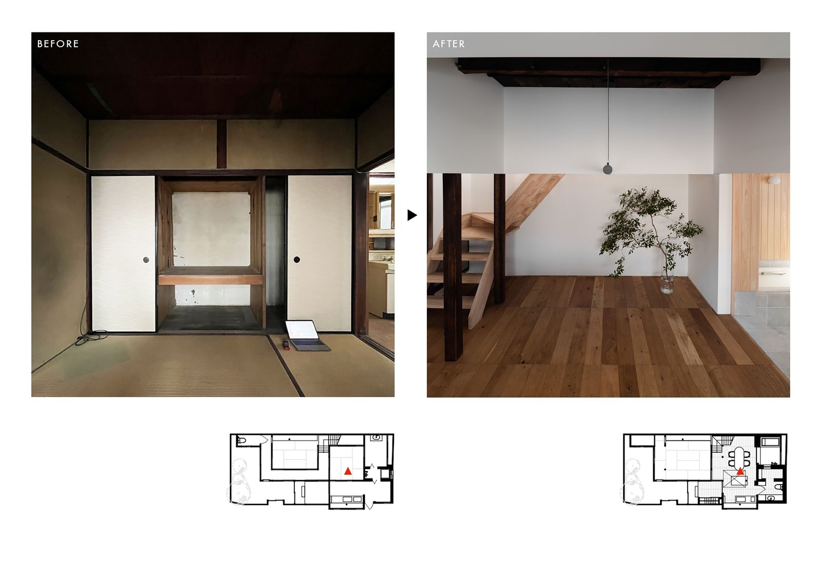 HOUSE OVOの写真 | TECTURE（テクチャー）