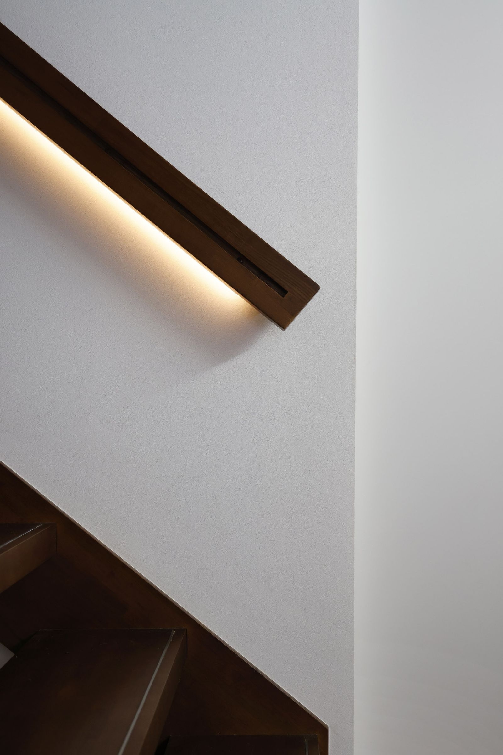 Contemporary Housesの写真 | TECTURE（テクチャー）