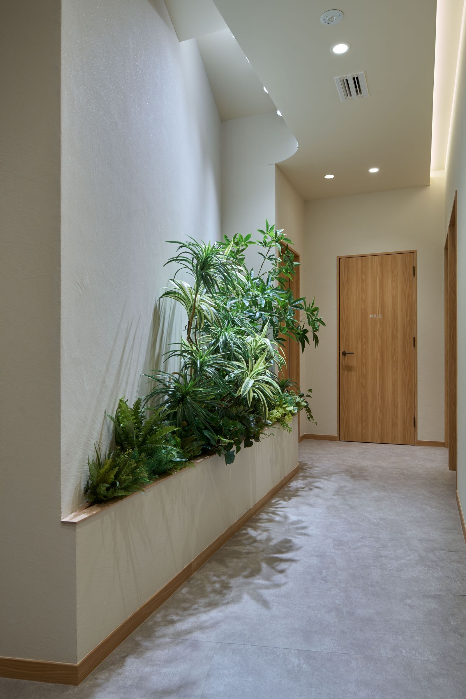 KUMA CARE CLINIC 名古屋院の写真 | TECTURE（テクチャー）