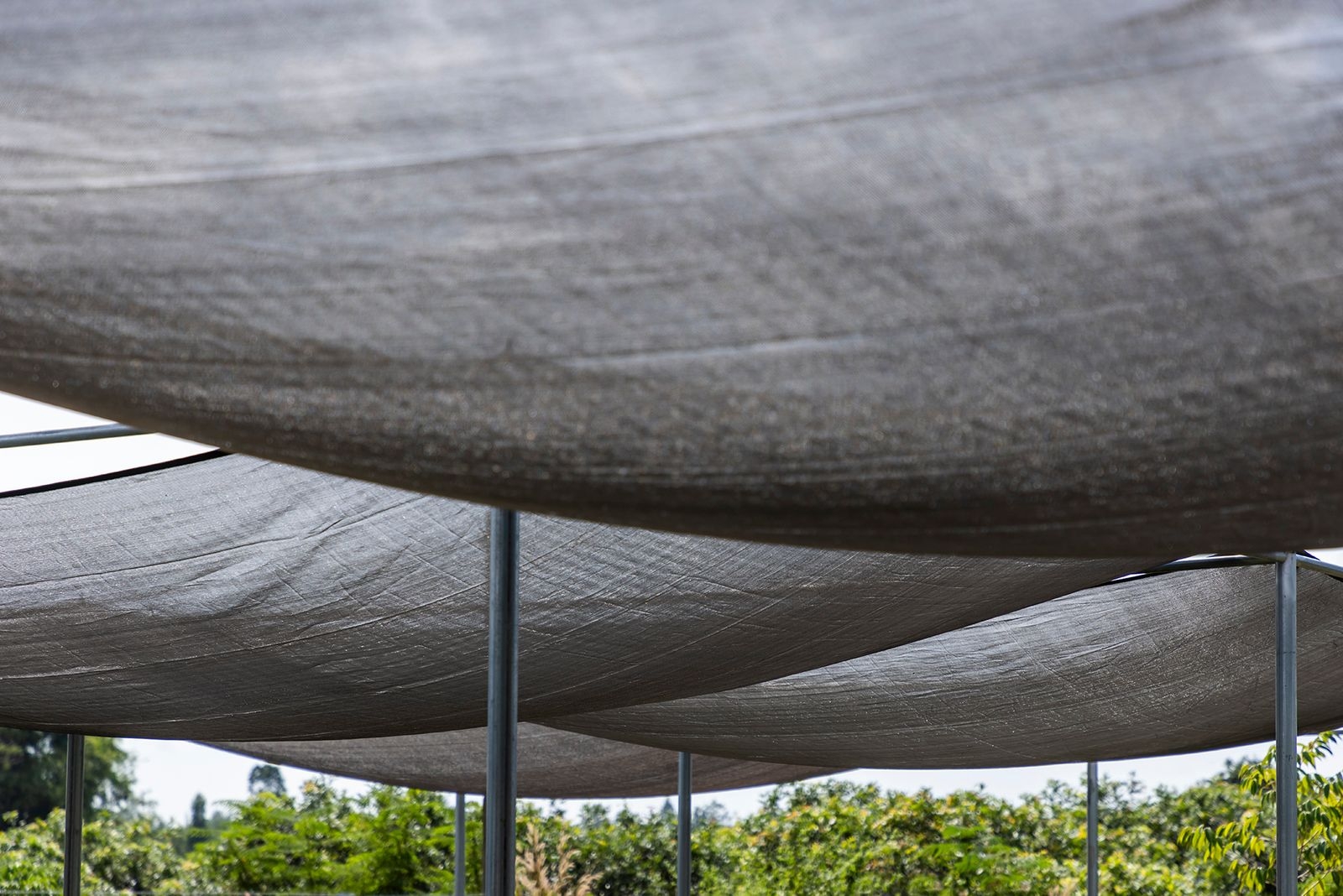 HOUSE IN BA RIA VUNG TAUの写真 | TECTURE（テクチャー）