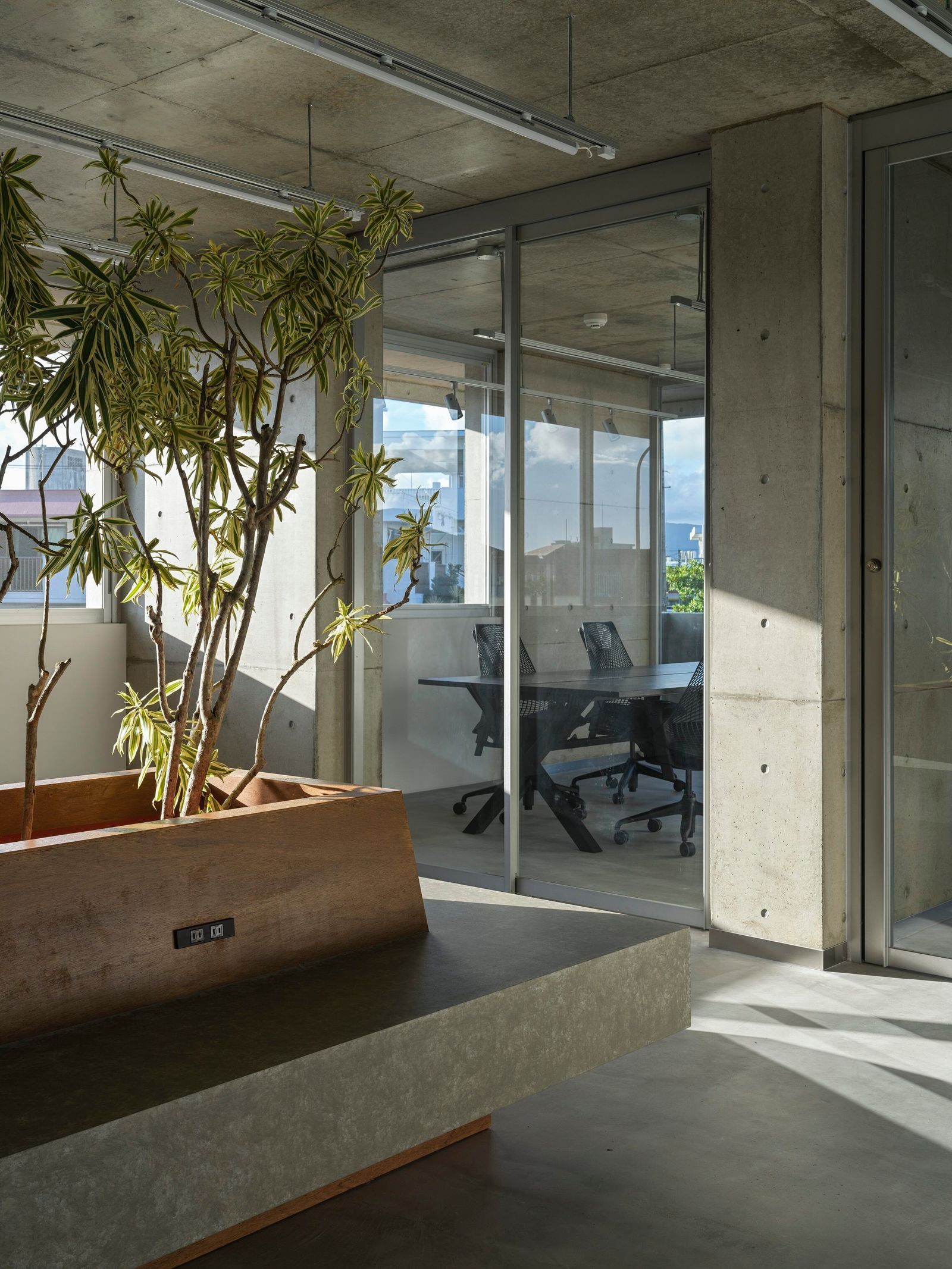 石垣島のオフィスSINCAの写真 | TECTURE（テクチャー）