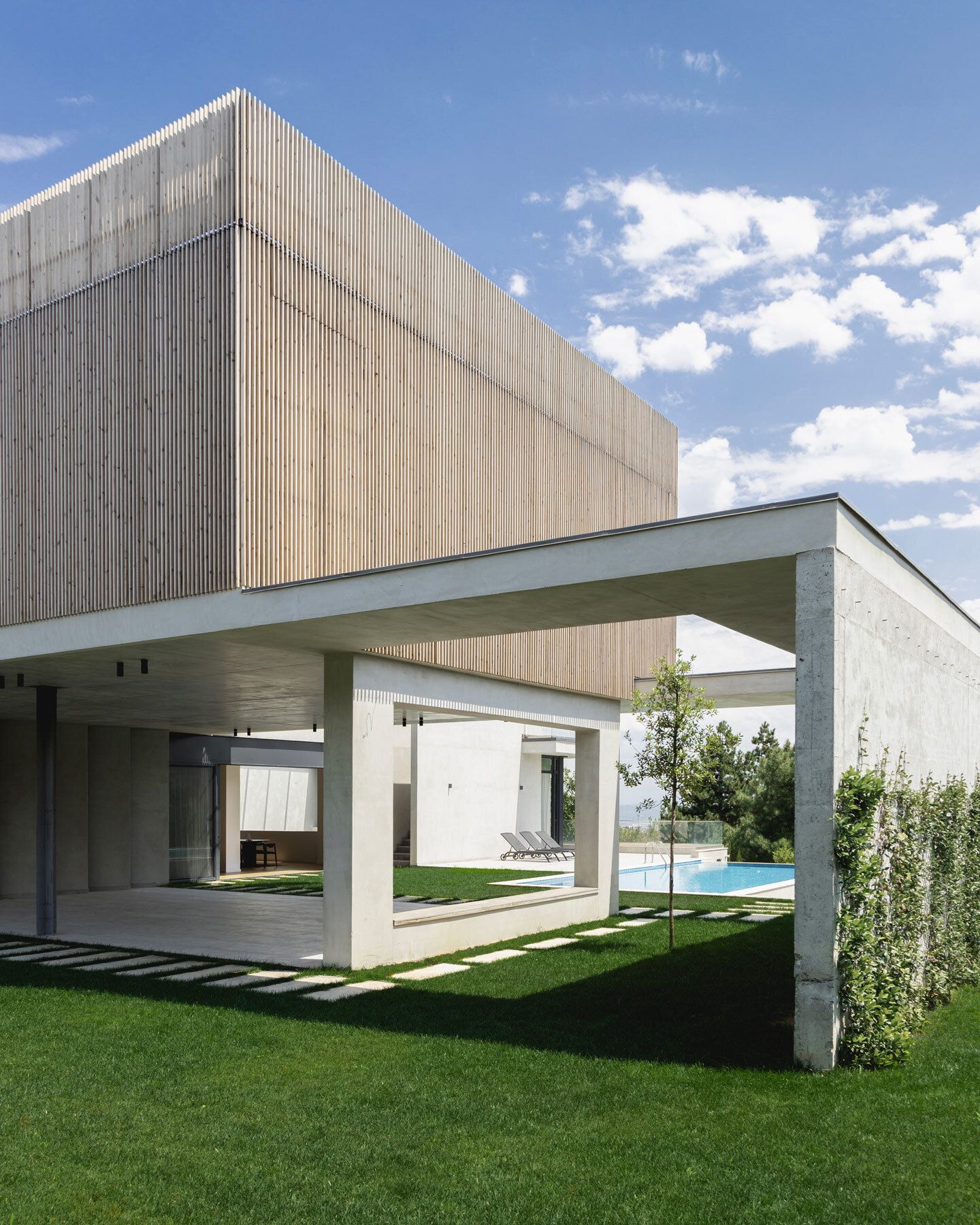 HOUSE AROUND THE TREEの写真 | TECTURE（テクチャー）