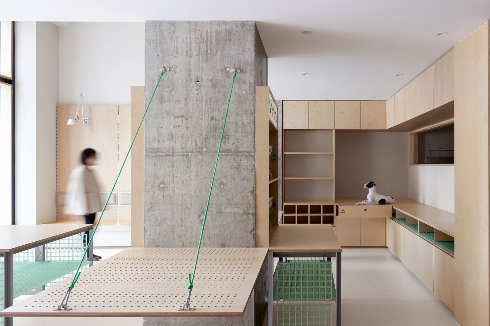 101PETの写真 | TECTURE（テクチャー）