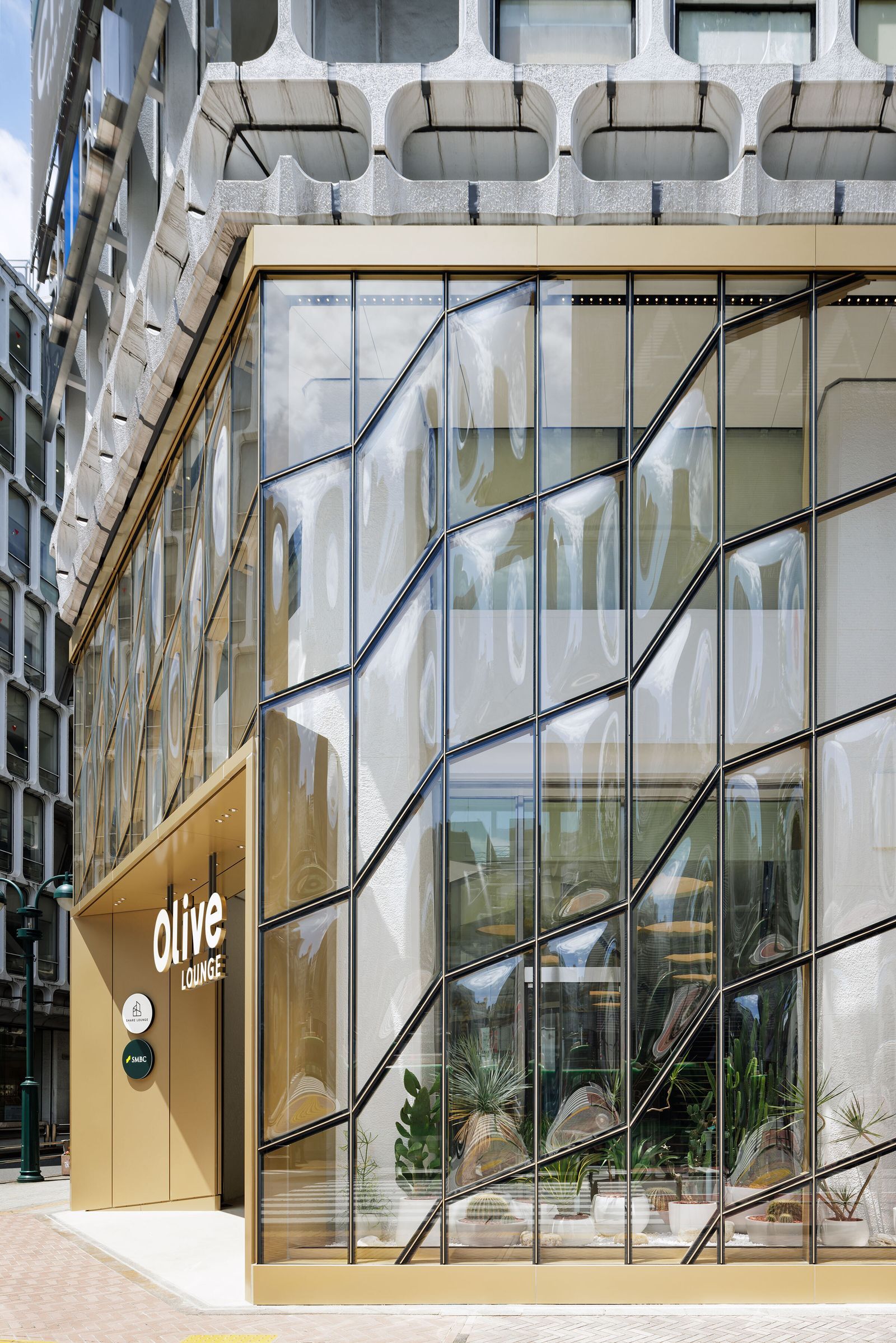 Olive LOUNGE 渋谷店の写真 | TECTURE（テクチャー）