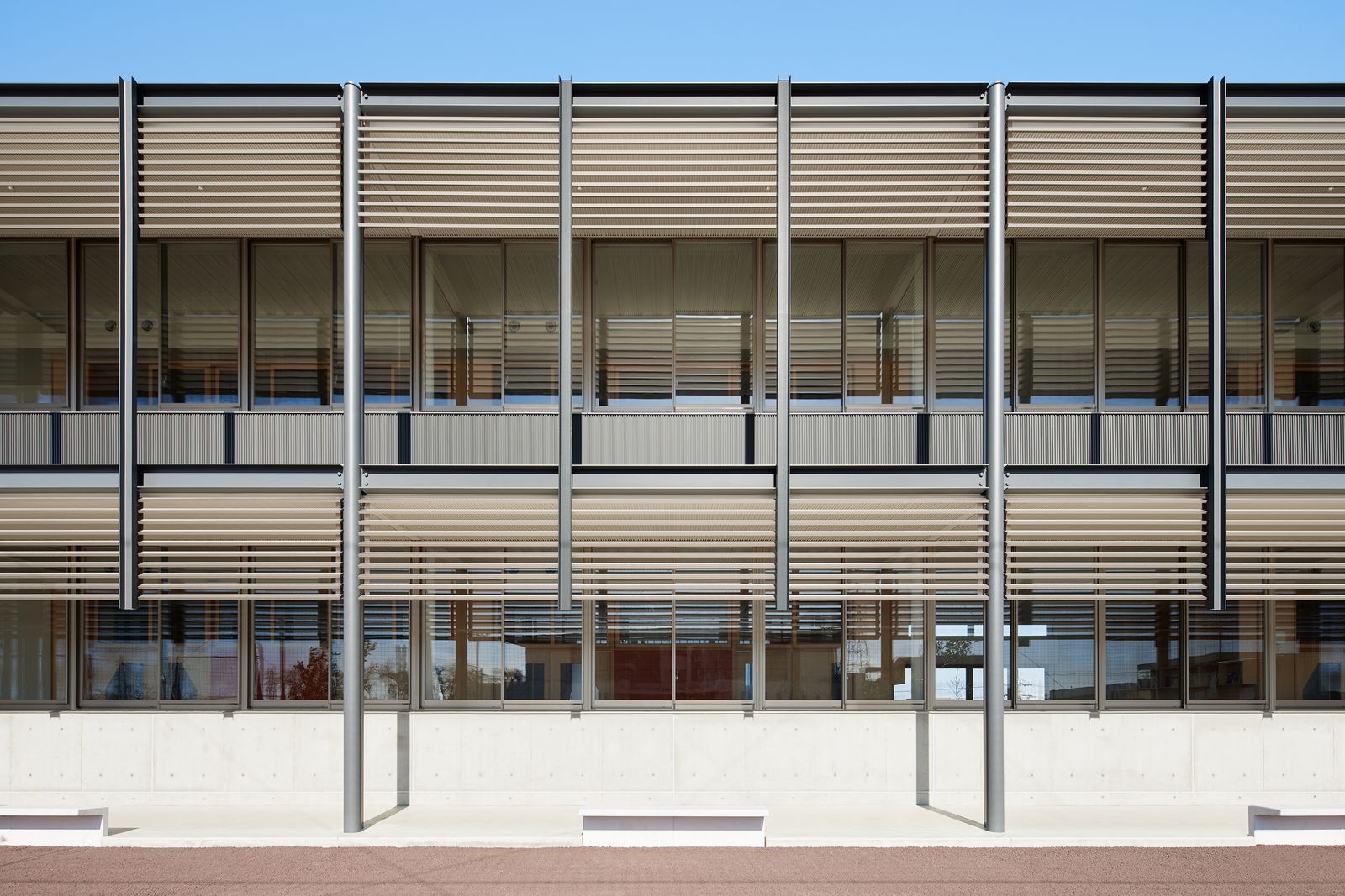 育みの丘 紡ぎの学舎の写真 | TECTURE（テクチャー）