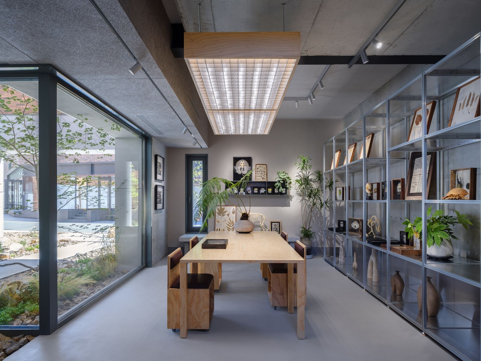 荒野植物園の写真 | TECTURE（テクチャー）