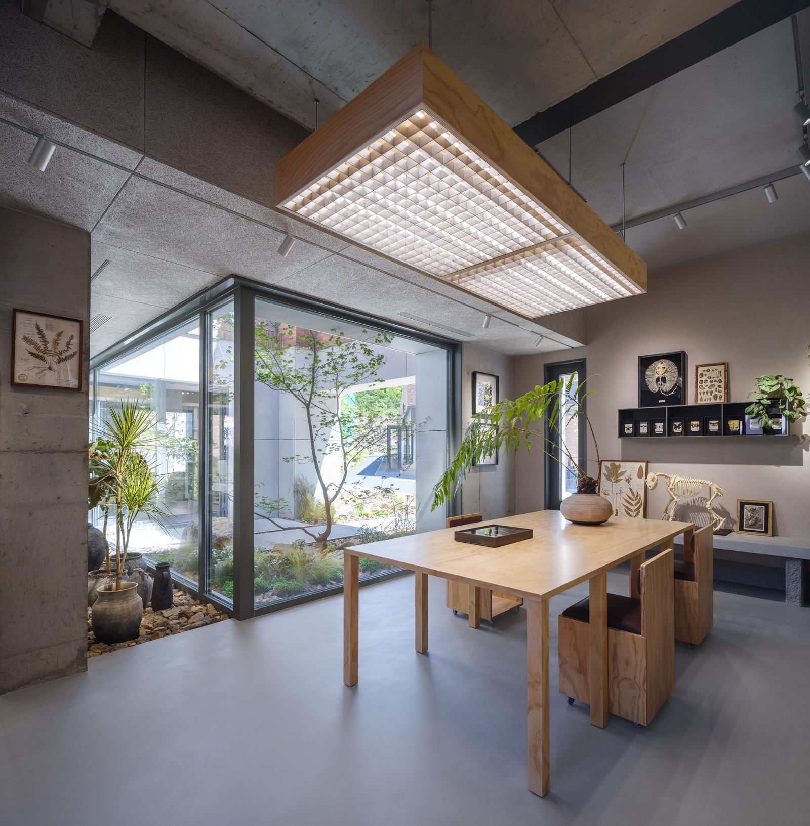 荒野植物園の写真 | TECTURE（テクチャー）