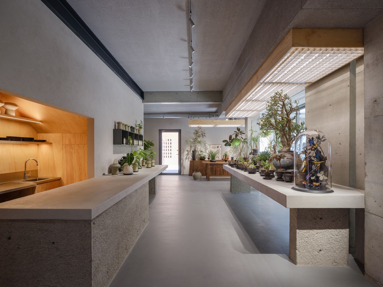 荒野植物園の写真 | TECTURE（テクチャー）