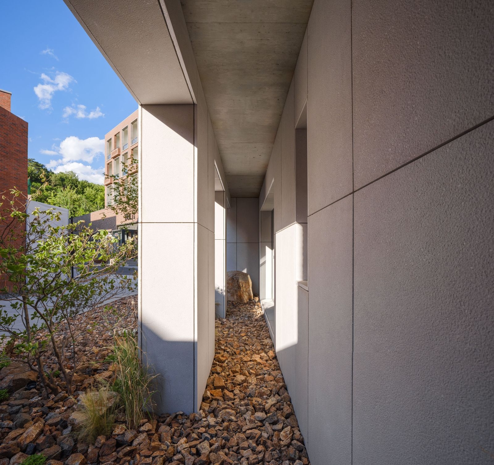 荒野植物園の写真 | TECTURE（テクチャー）