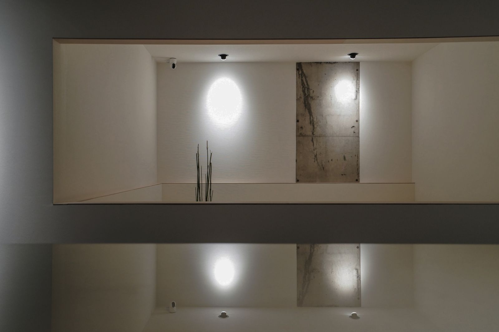 LOUNGE 『Bunny』の写真 | TECTURE（テクチャー）