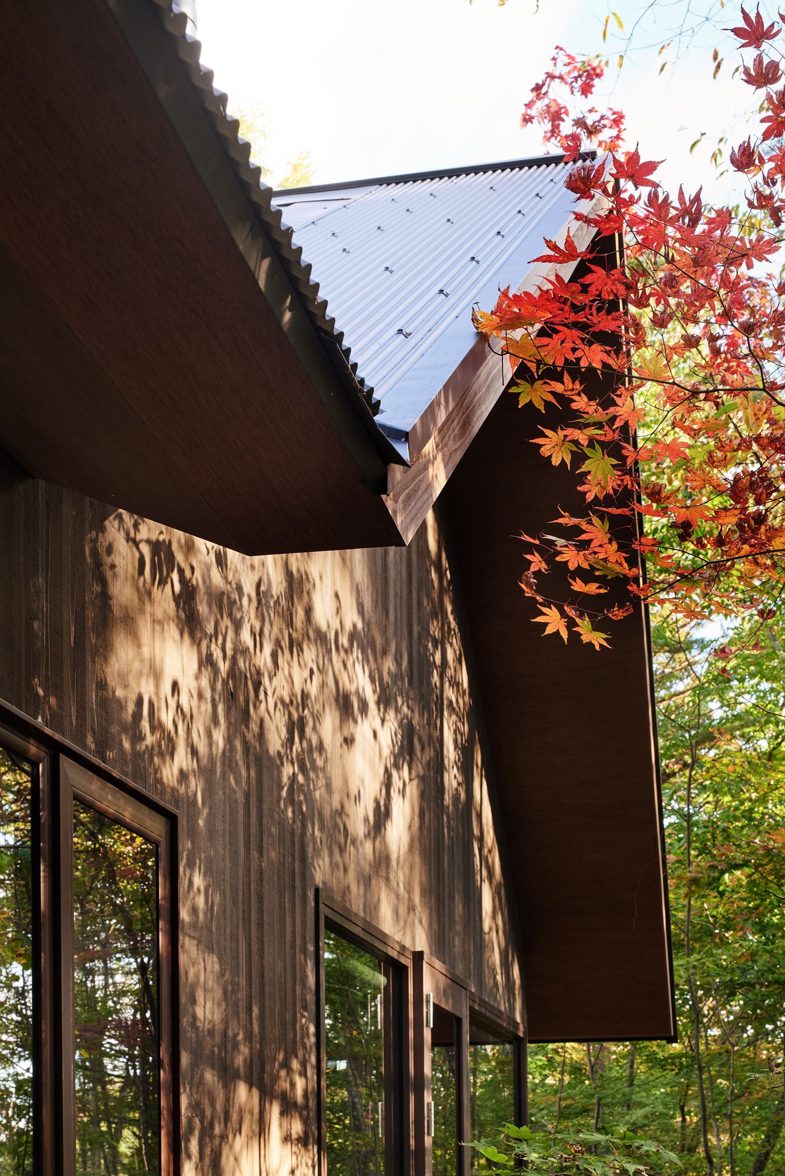 Villa Mの写真 | TECTURE（テクチャー）