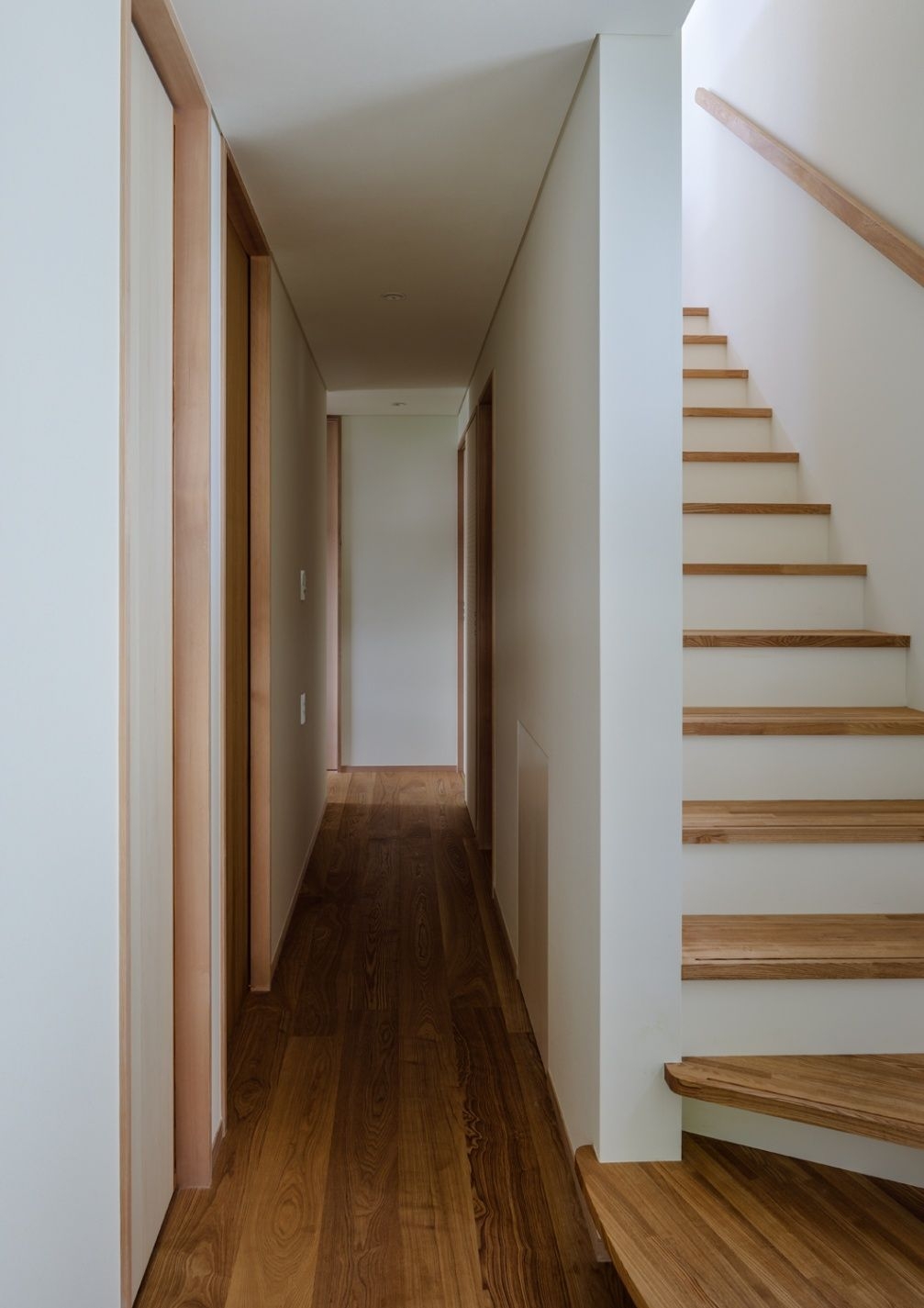 玉川上水の家の写真 | TECTURE（テクチャー）