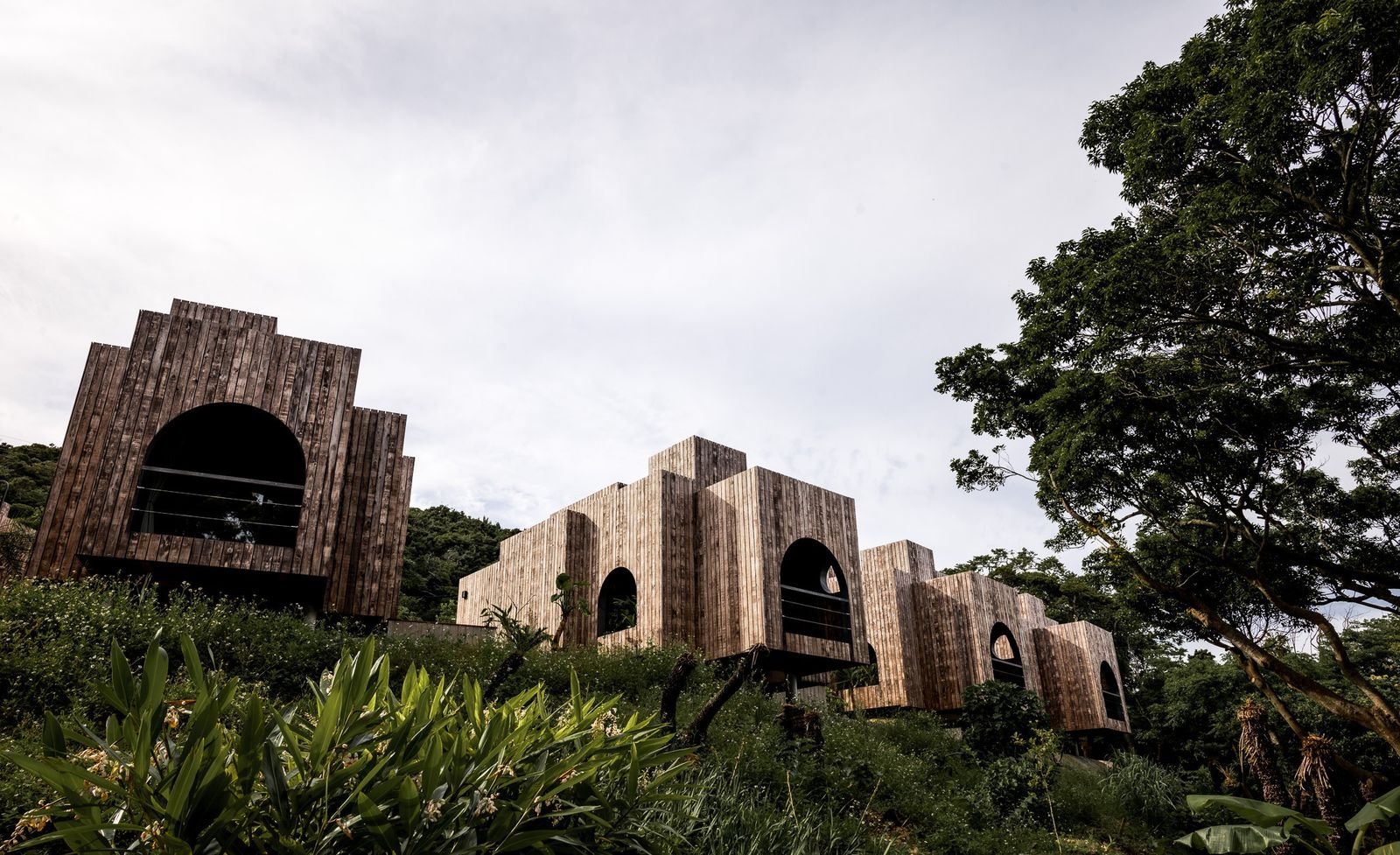 MIRU AMAMIの写真 | TECTURE（テクチャー）