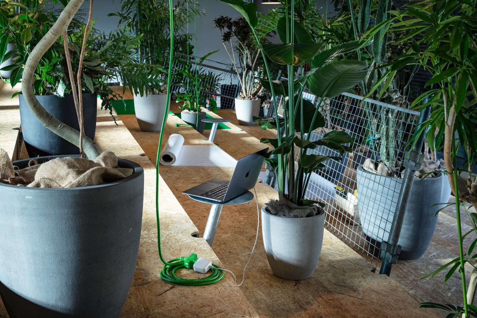 beyond the officeの写真 | TECTURE（テクチャー）