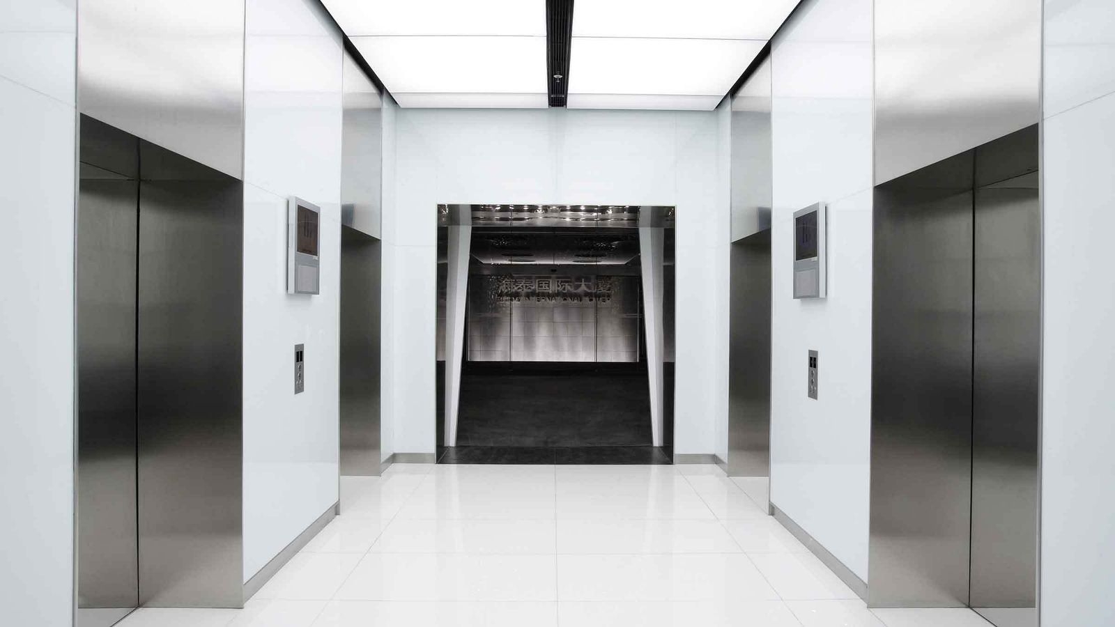 LEAFY SHADEの写真 | TECTURE（テクチャー）