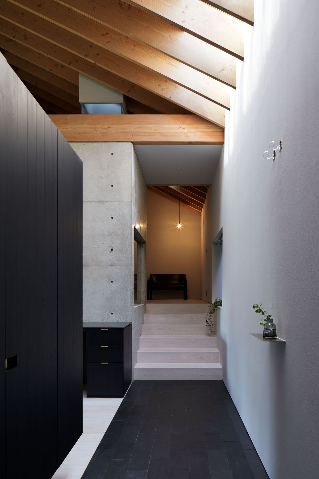 Mhouse 3の写真 | TECTURE（テクチャー）