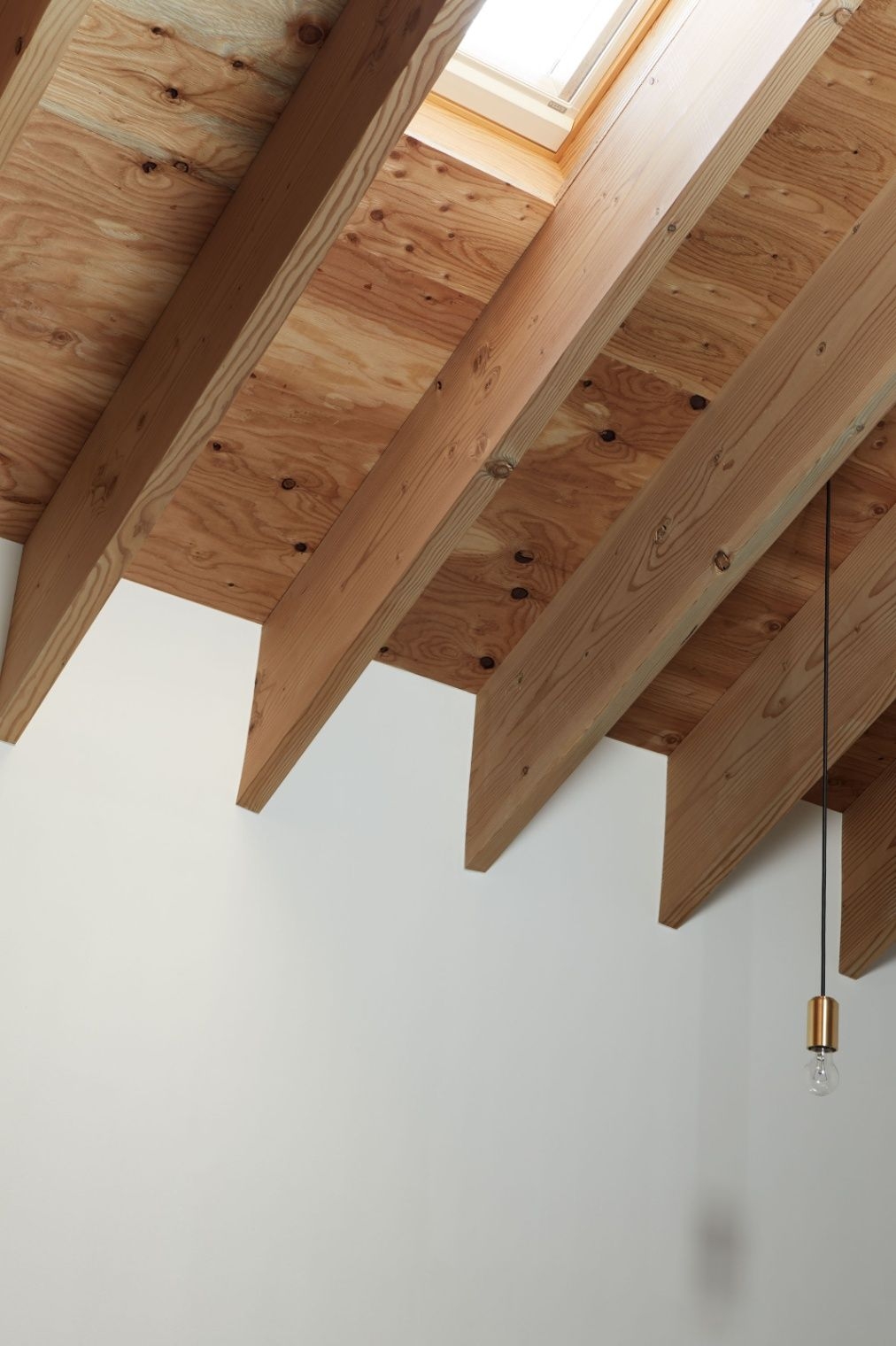 Mhouse 3の写真 | TECTURE（テクチャー）