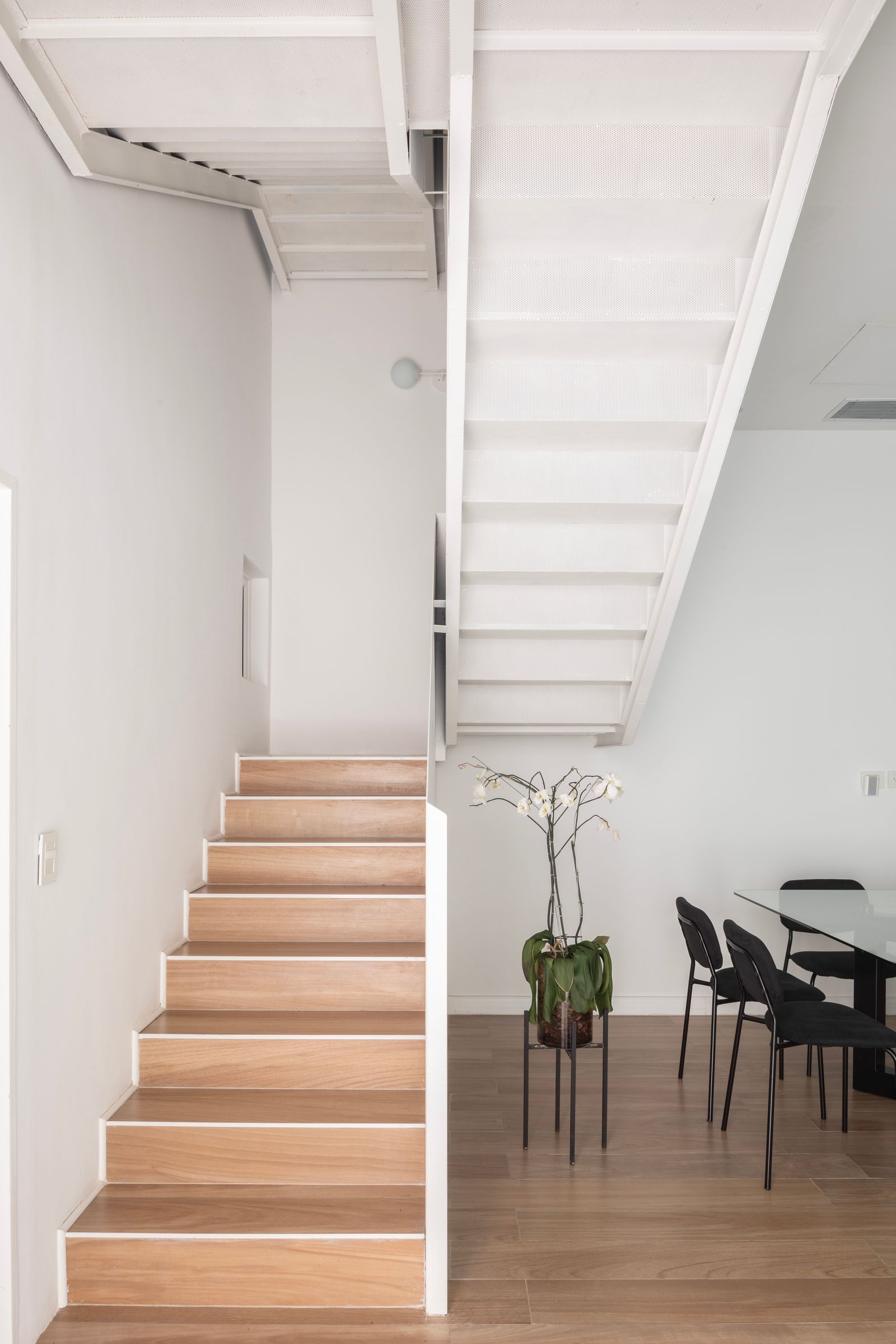 PH Larraldeの写真 | TECTURE（テクチャー）