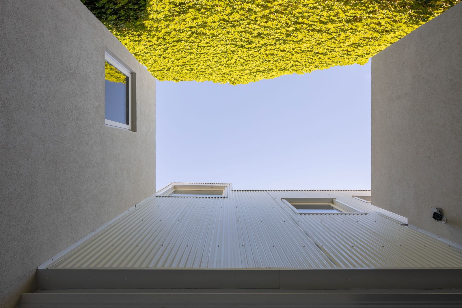 PH Larraldeの写真 | TECTURE（テクチャー）