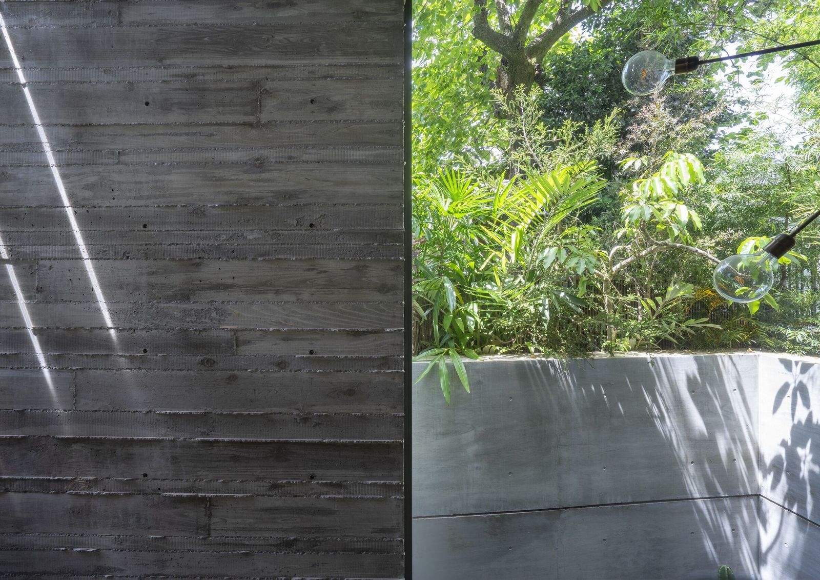 下北沢の家の写真 | TECTURE（テクチャー）