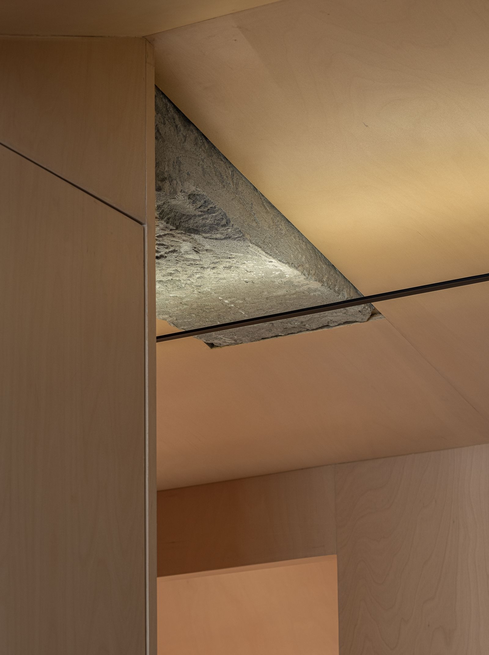 Swallow Houseの写真 | TECTURE（テクチャー）