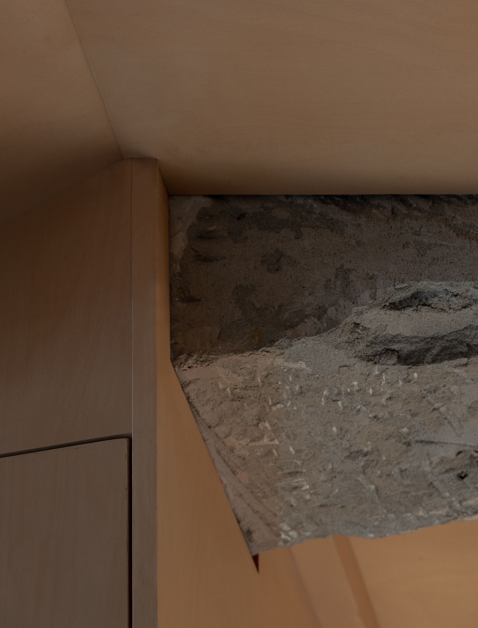 Swallow Houseの写真 | TECTURE（テクチャー）