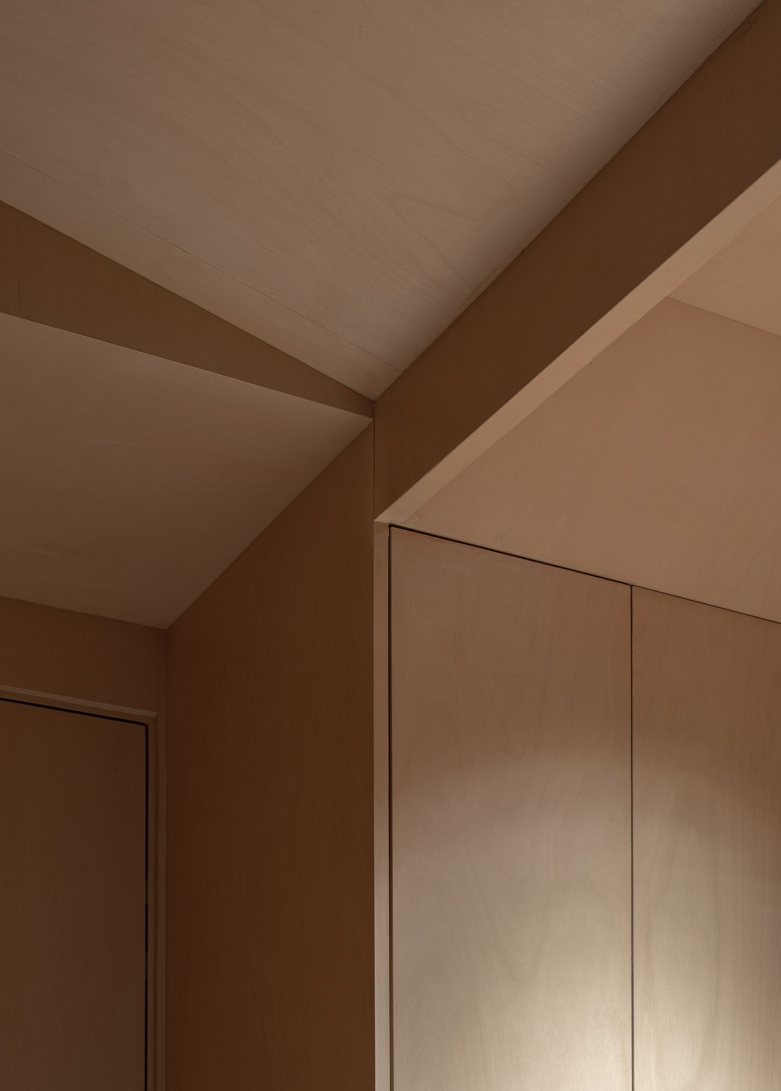 Swallow Houseの写真 | TECTURE（テクチャー）