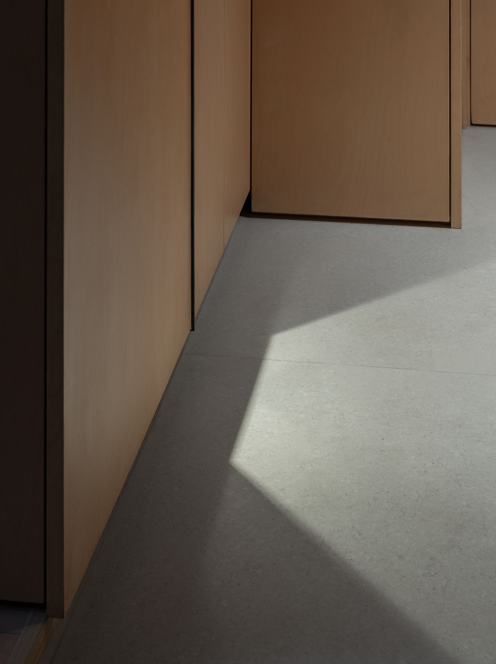 Swallow Houseの写真 | TECTURE（テクチャー）