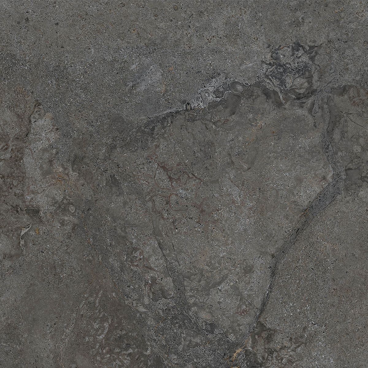 オーネイトゼノリス - 600角平 | TECTURE（テクチャー）