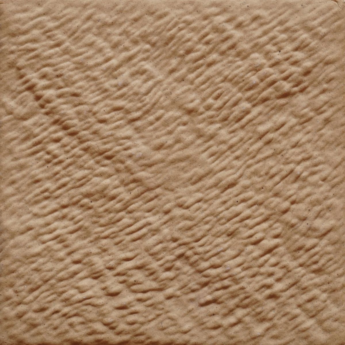 №207 - 125角平 | TECTURE（テクチャー）