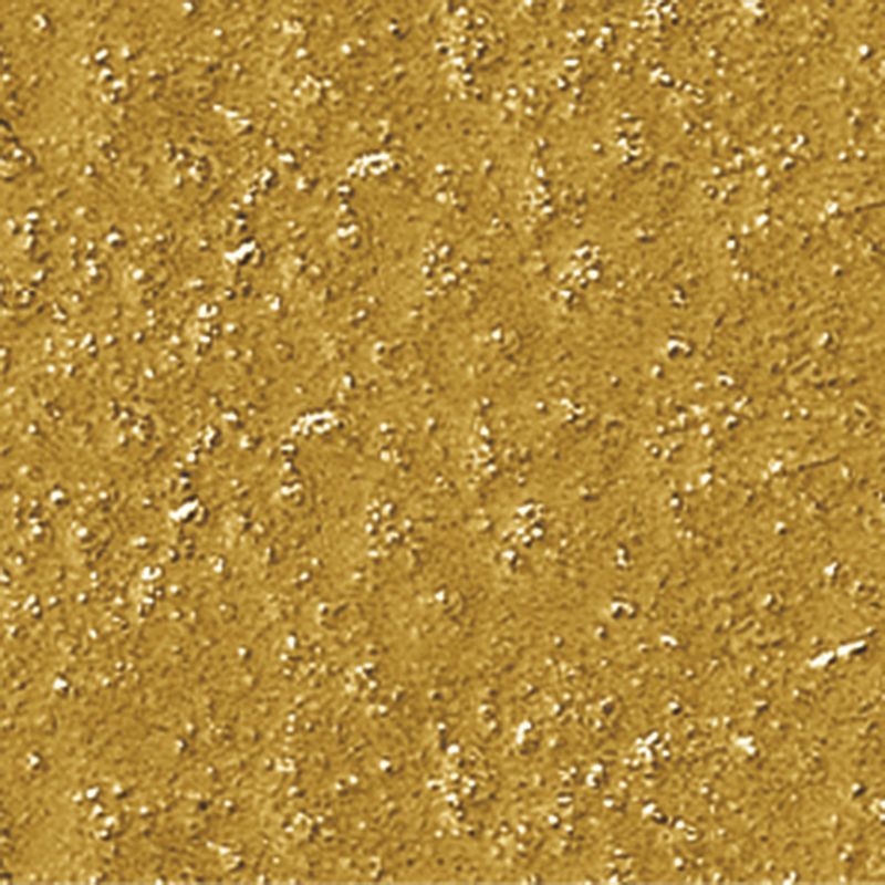 スーパーガード - #15 | TECTURE（テクチャー）