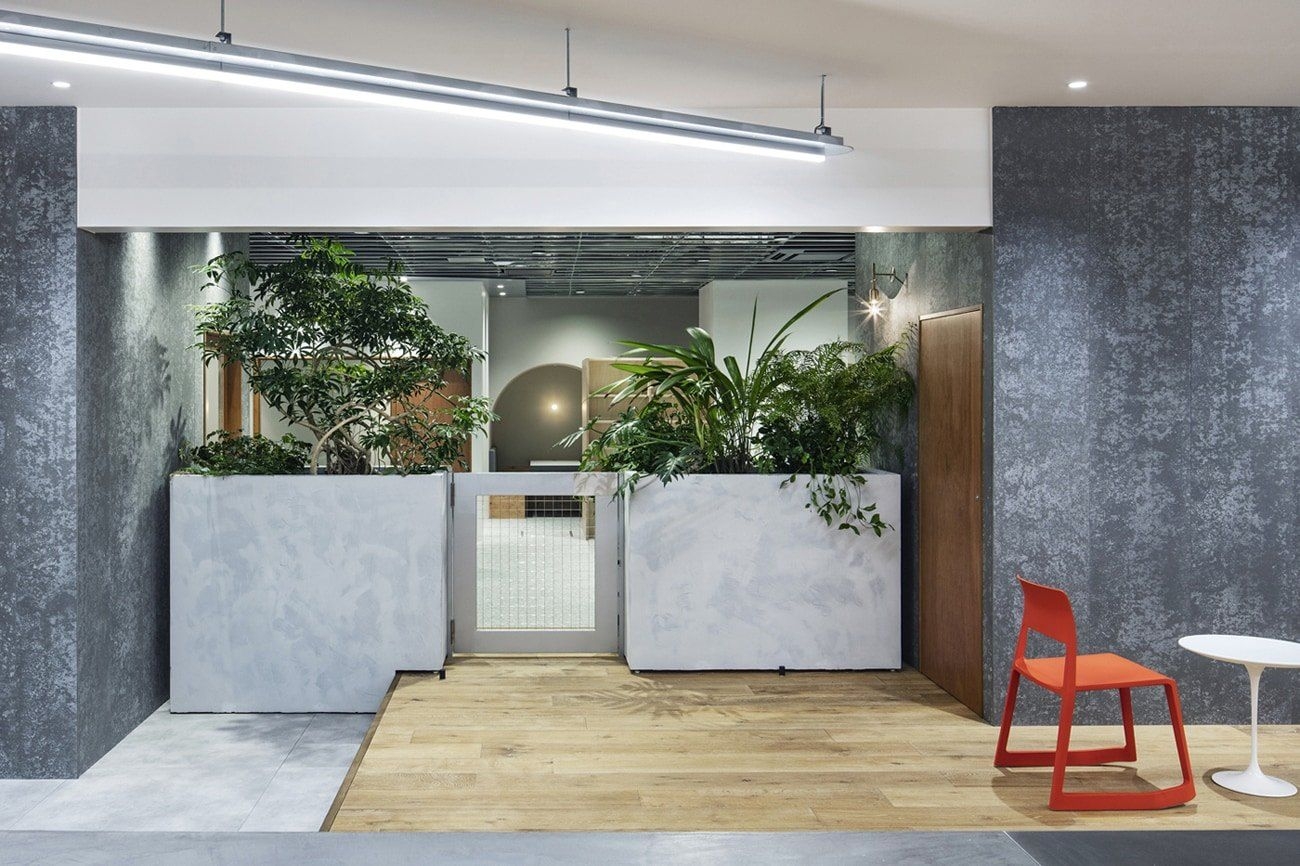 FUSEの写真 | TECTURE（テクチャー）