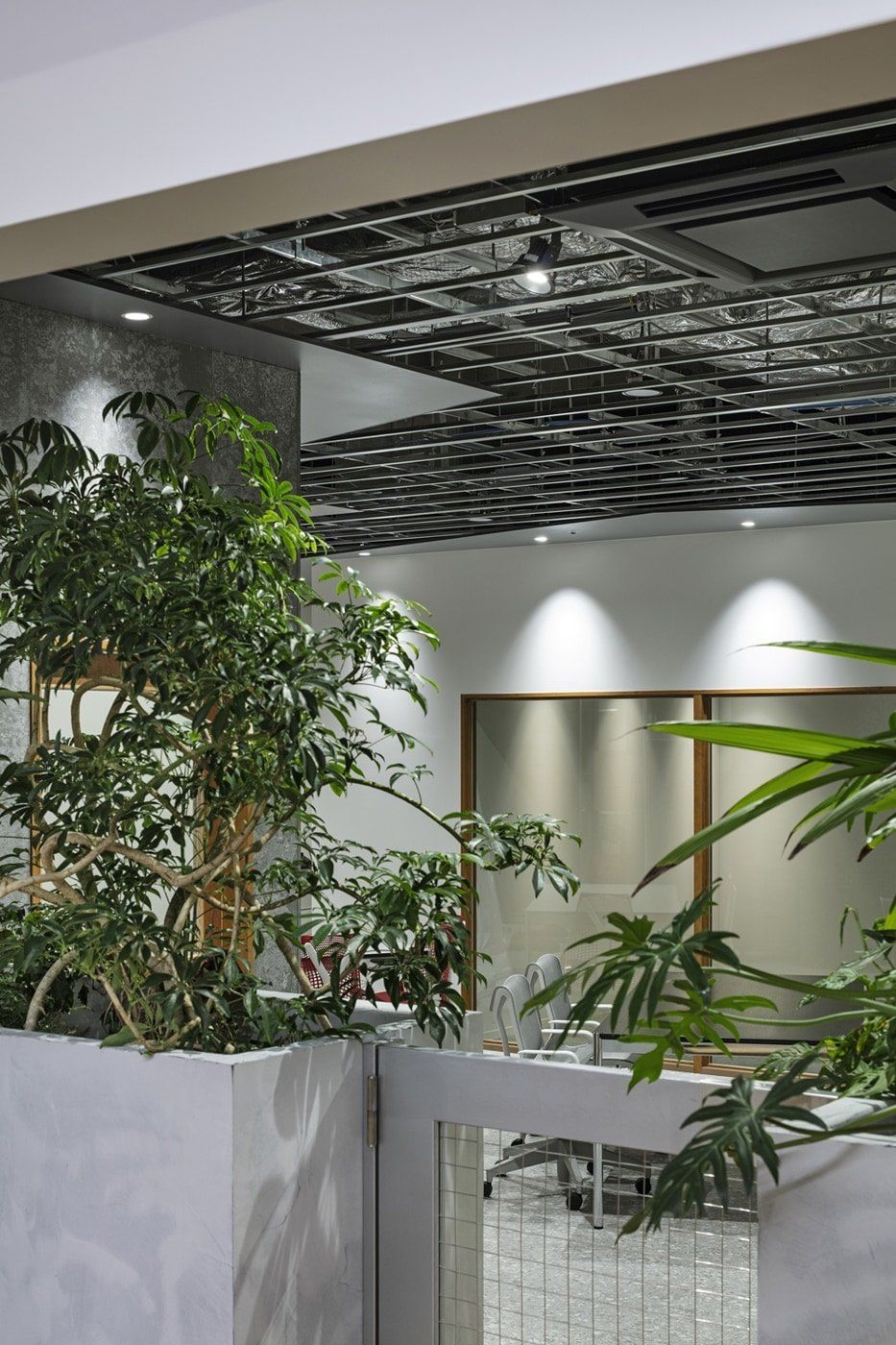 FUSEの写真 | TECTURE（テクチャー）