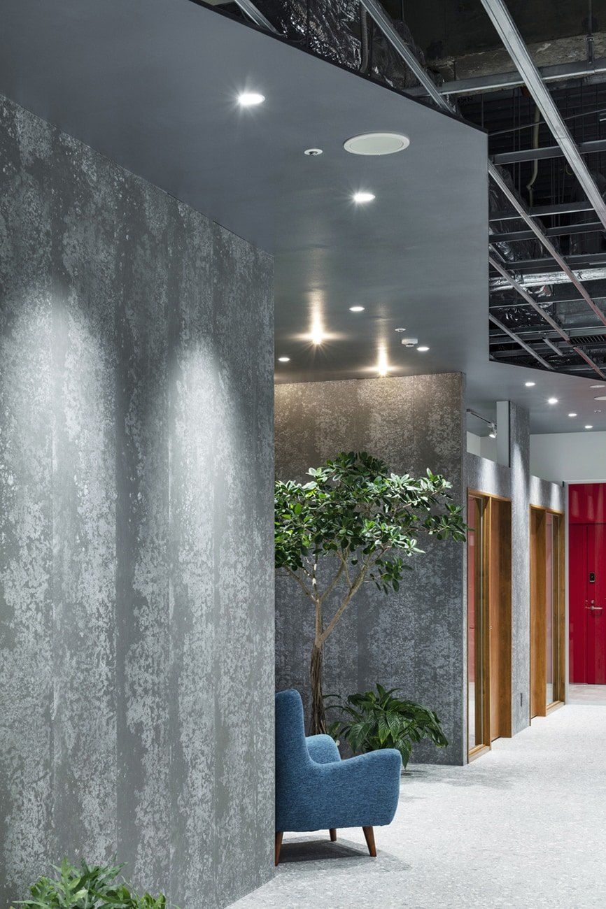 FUSEの写真 | TECTURE（テクチャー）