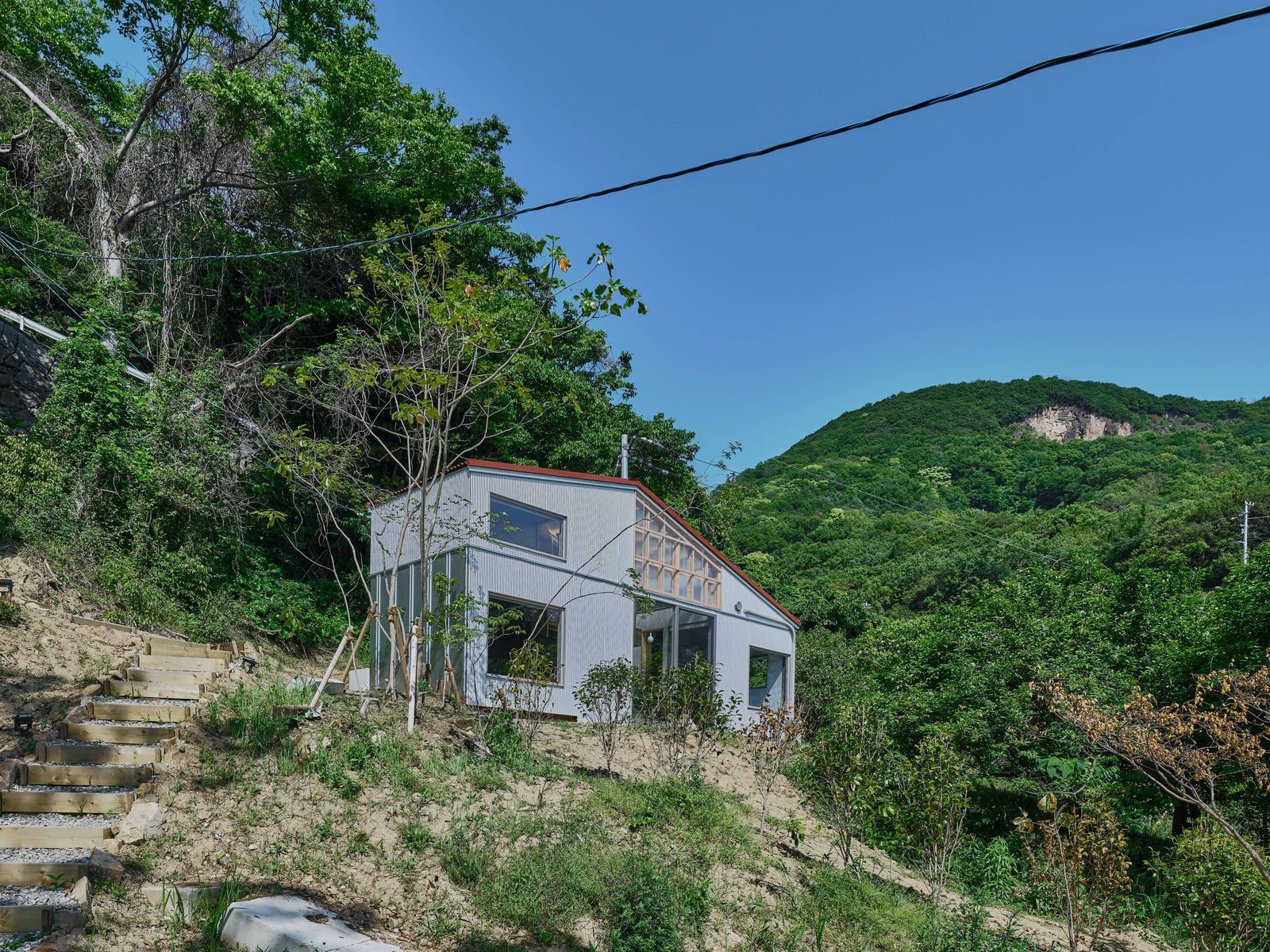 mimoroの写真 | TECTURE（テクチャー）