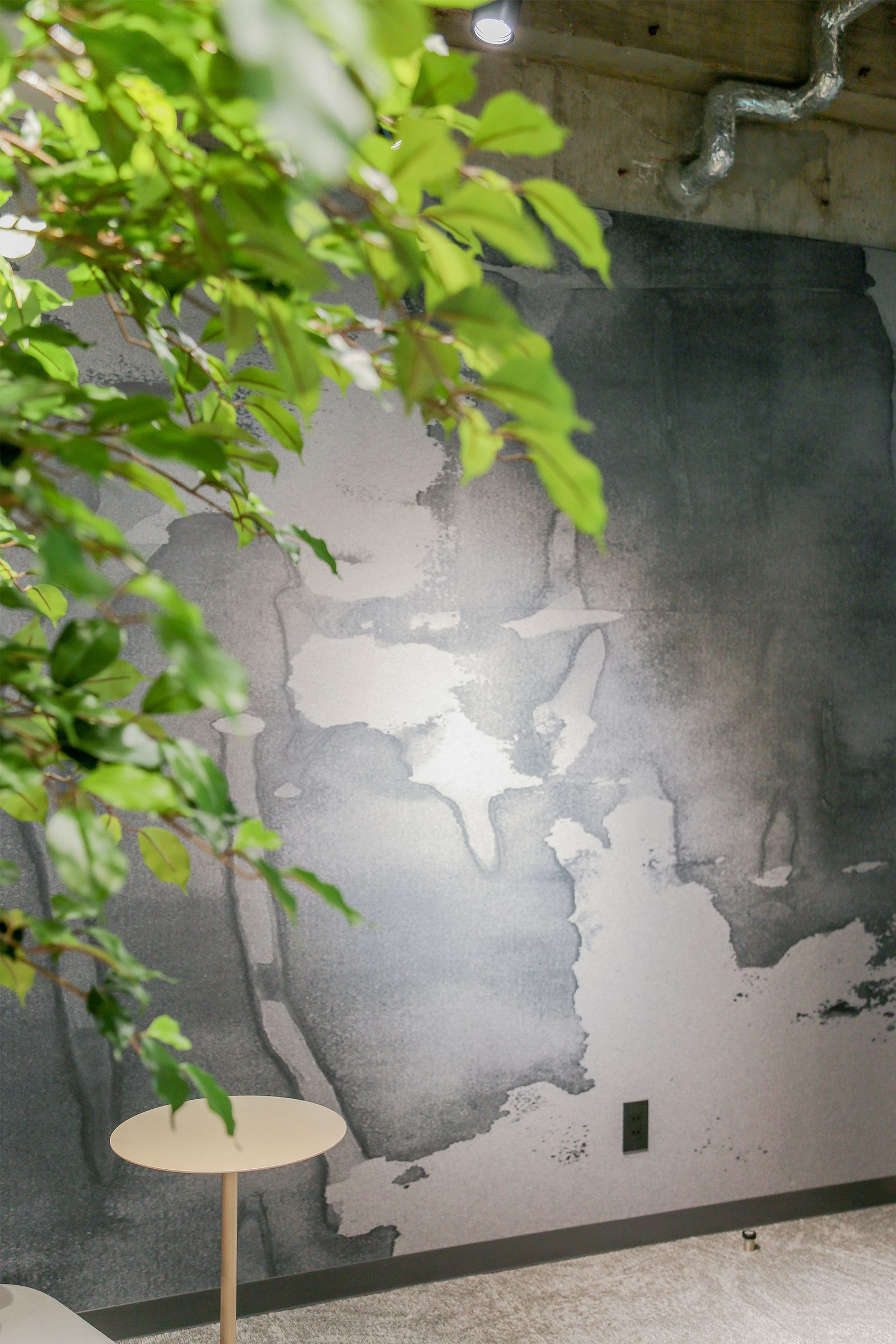 写真 | TECTURE（テクチャー）