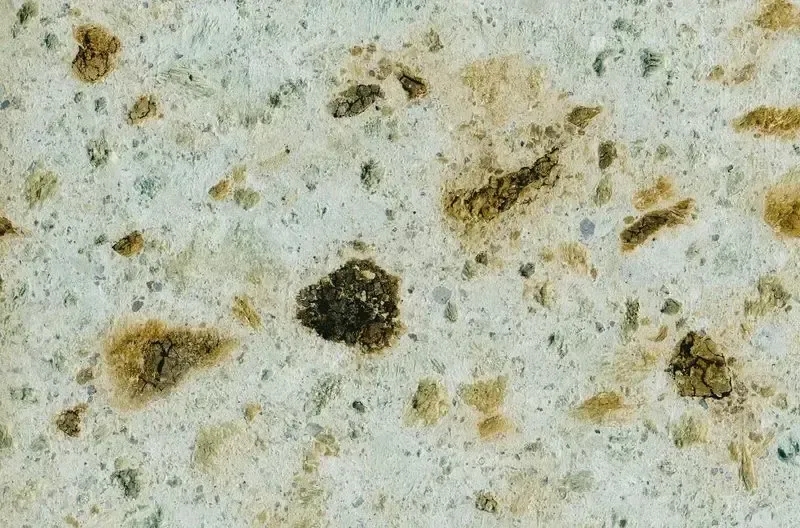 5月人気のあった建材サンプルBEST20 | TECTURE（テクチャー）