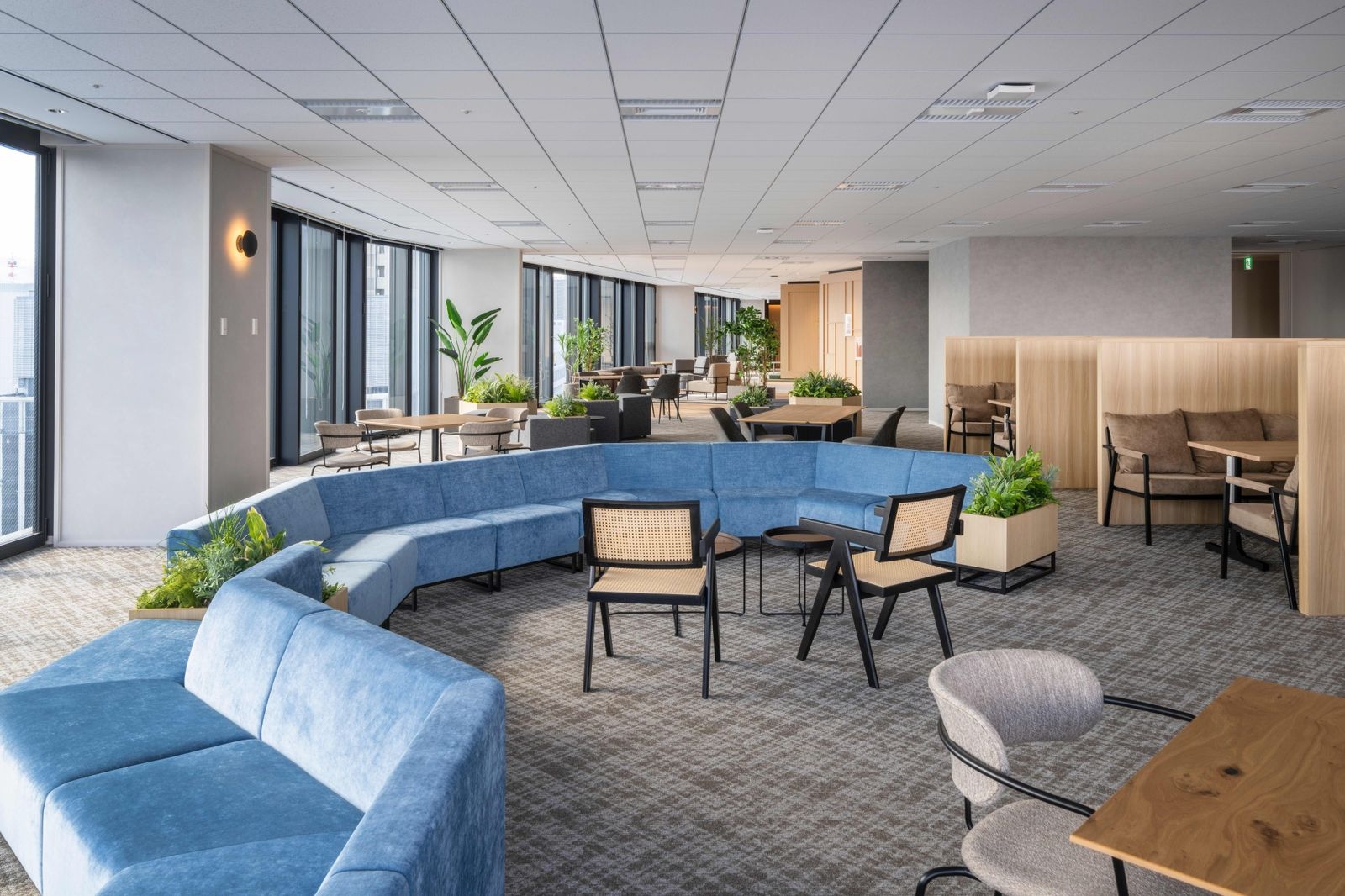 Office / Sapporoの写真 | TECTURE（テクチャー）