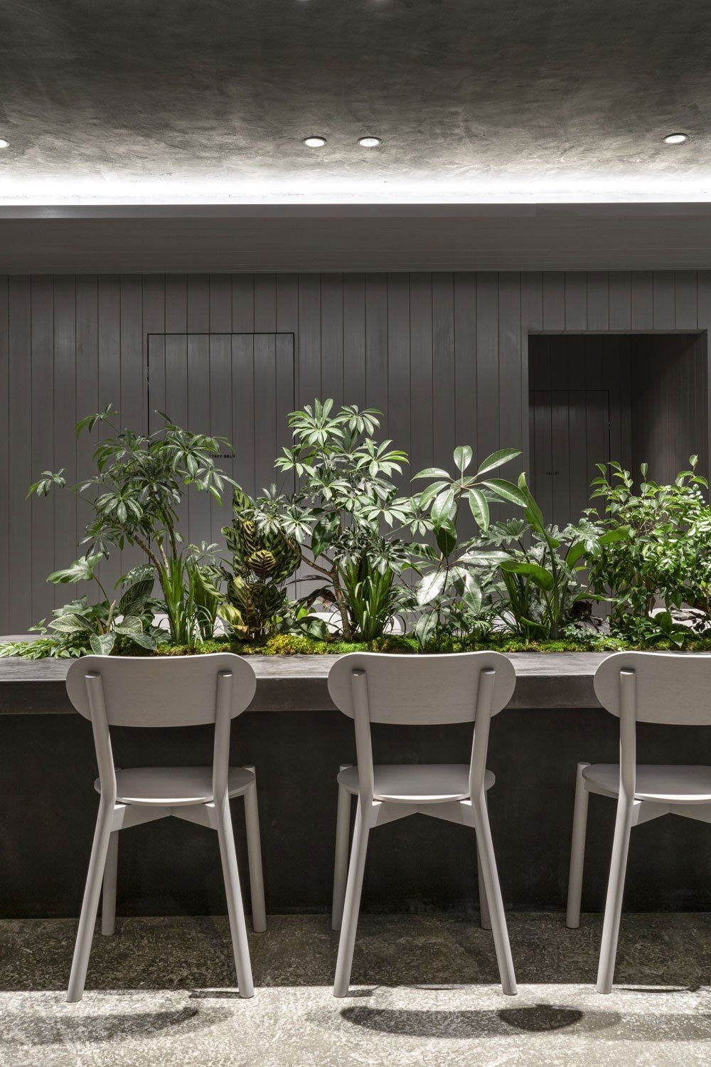 NUTSLAB の写真 | TECTURE（テクチャー）