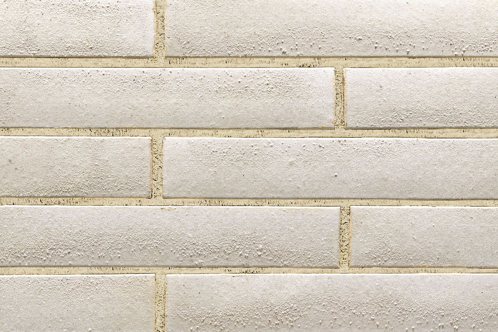 大粉引おおこびき - 360×60平 | TECTURE（テクチャー）