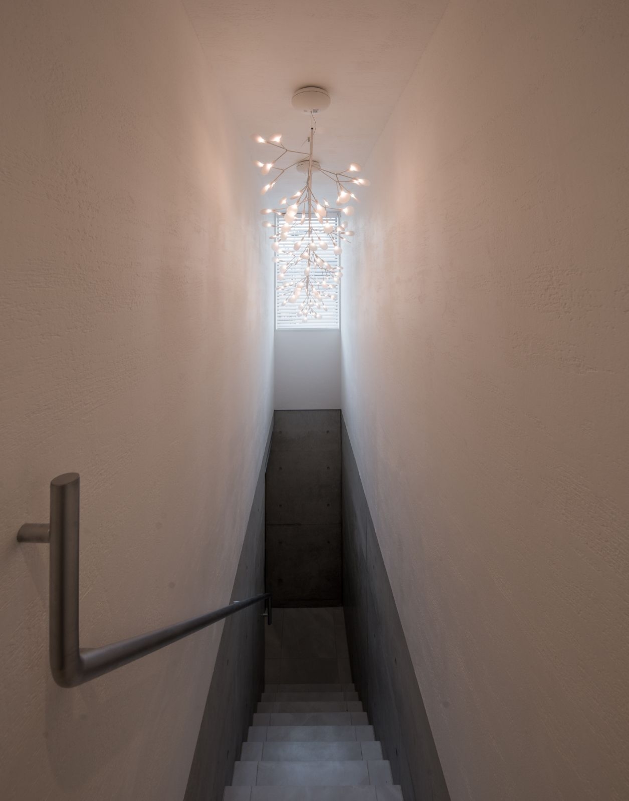 SKT(エスケーティー)/ジムを共有する3階建ての二世帯住宅の写真 | TECTURE（テクチャー）