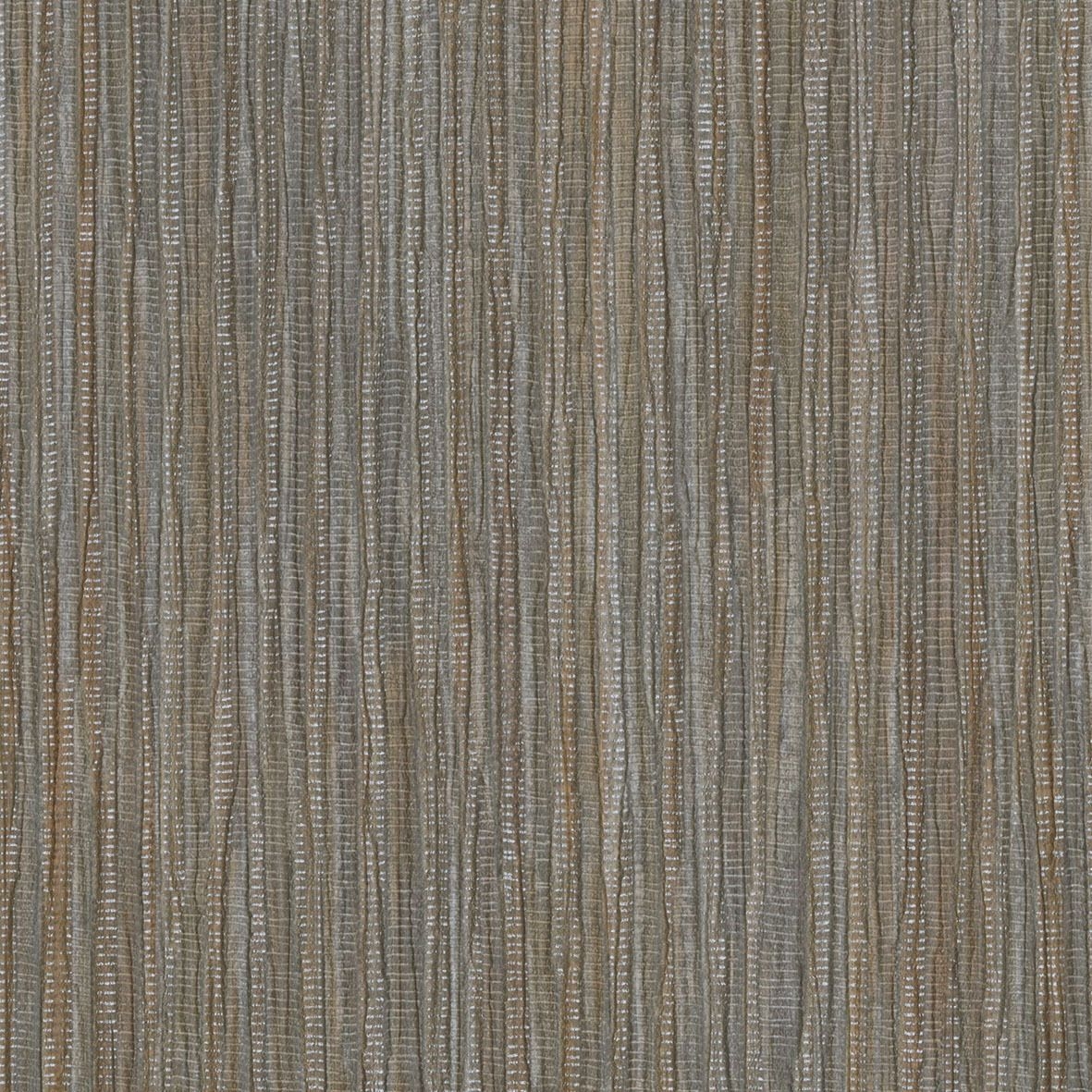 1】 plus one mood /wild vine | TECTURE（テクチャー）