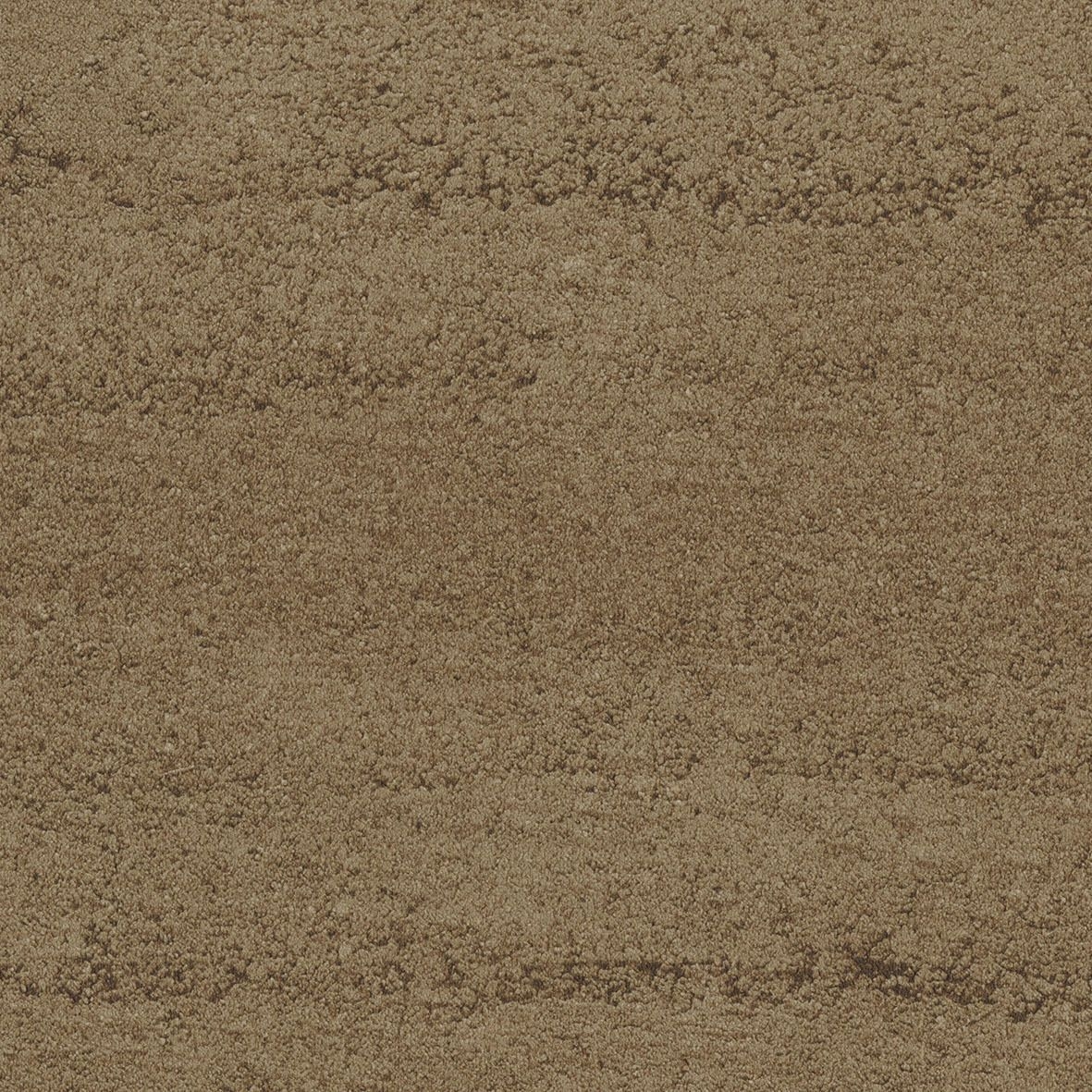 1】 plus one mood /strata | TECTURE（テクチャー）