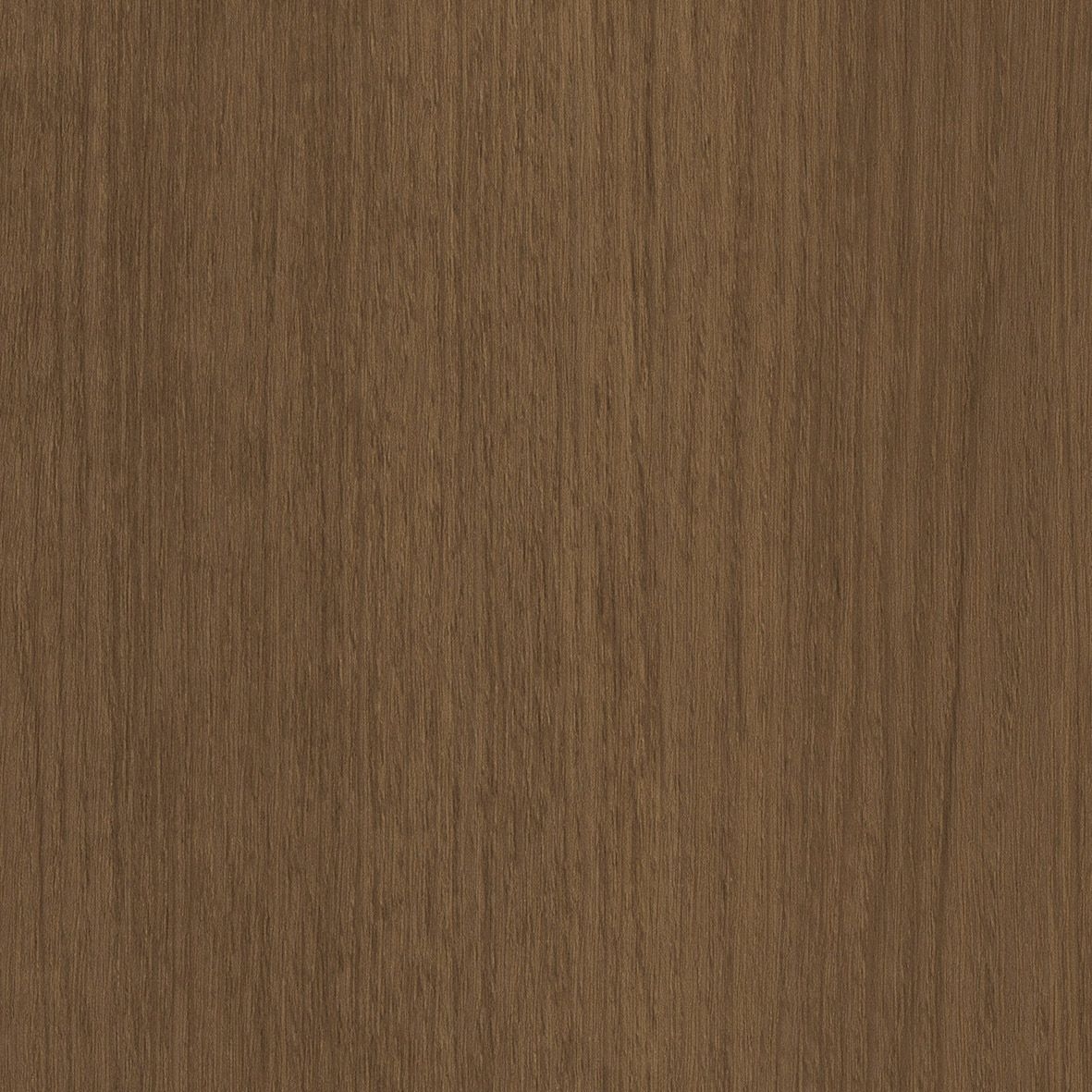 1】 plus one 希少種 | TECTURE（テクチャー）