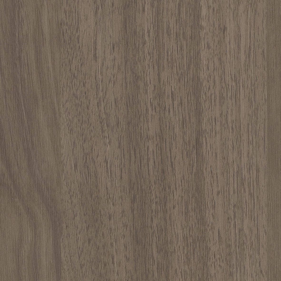 1】 plus one 希少種 | TECTURE（テクチャー）